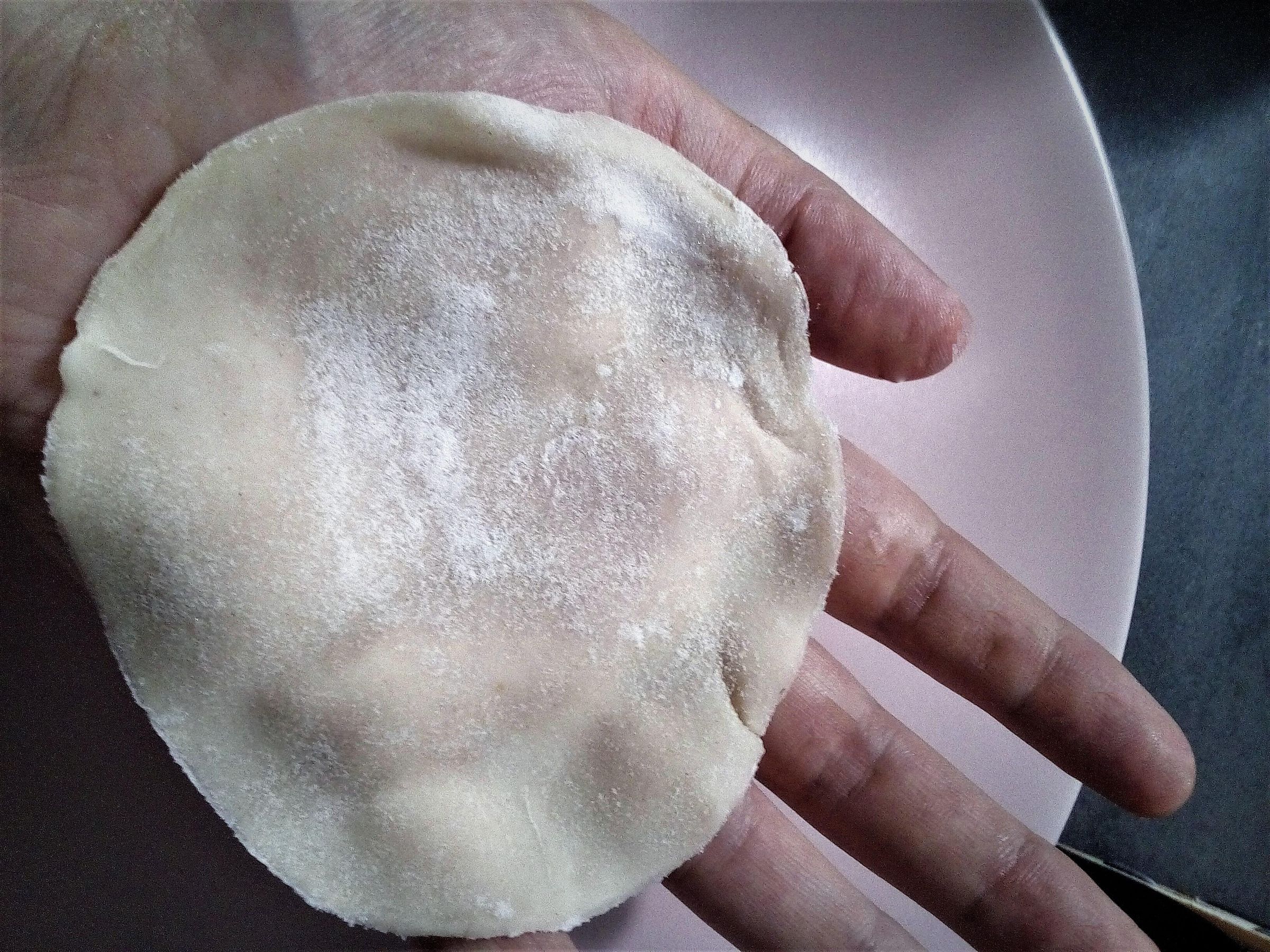 My Favorite Vegetarian/Vegan Gyoza-Recipe : 5 Steps (with Pictures ...