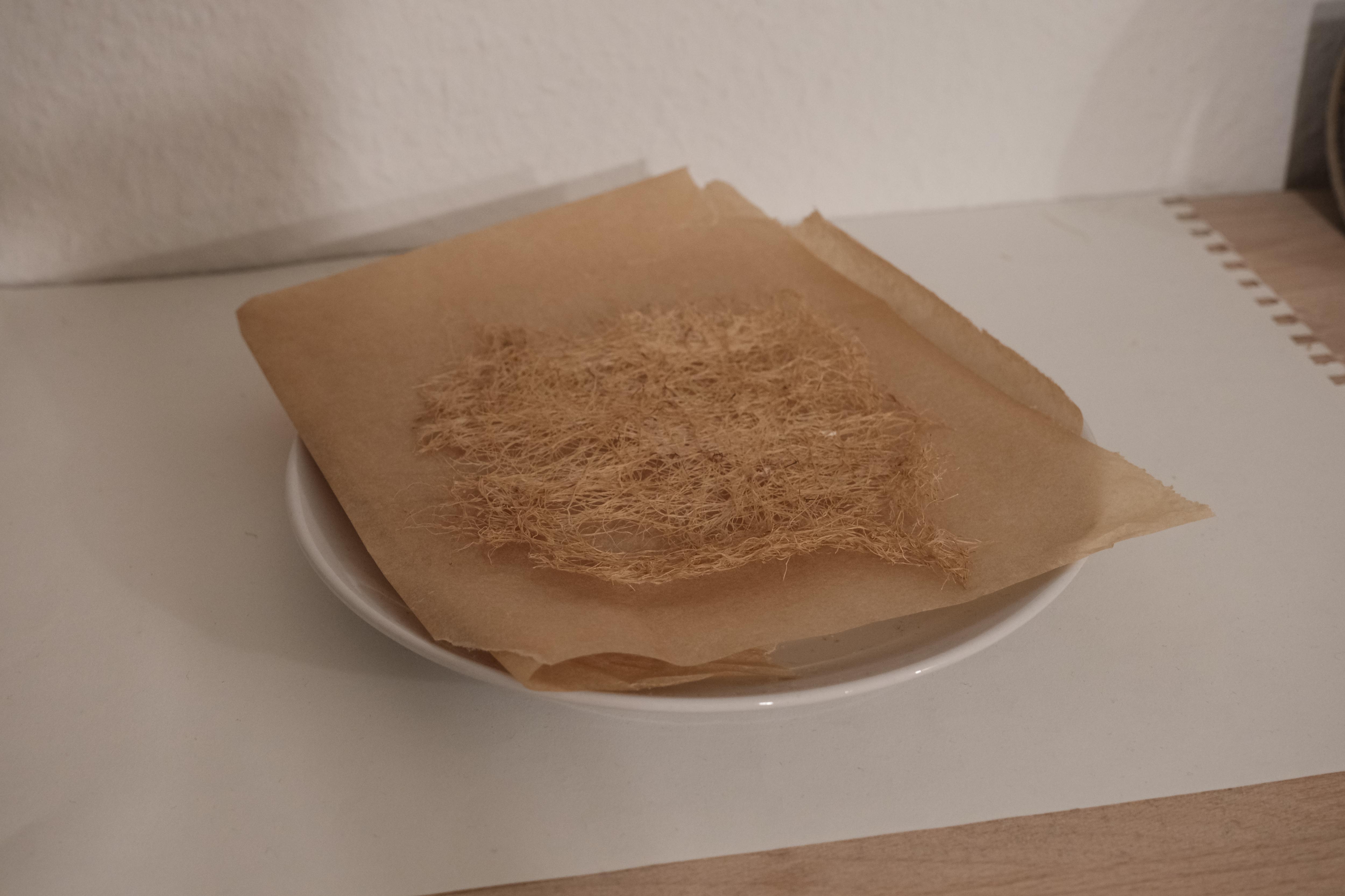 Make Wheatgrass Root Mats : 6 Steps (with Pictures) - Instructables