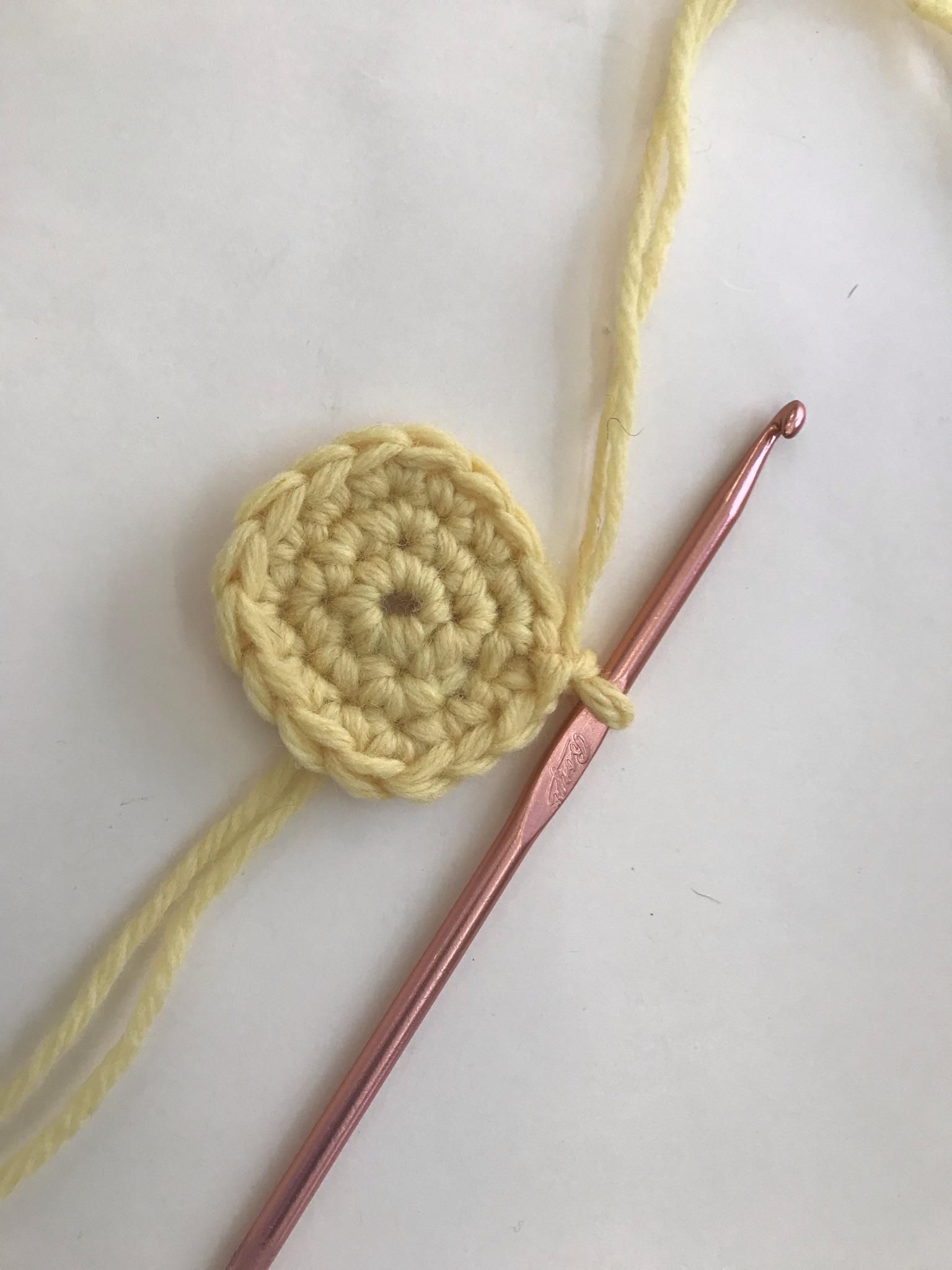 Ukrainian Crochet Flying Disc Dog Toy : 4 Steps - Instructables