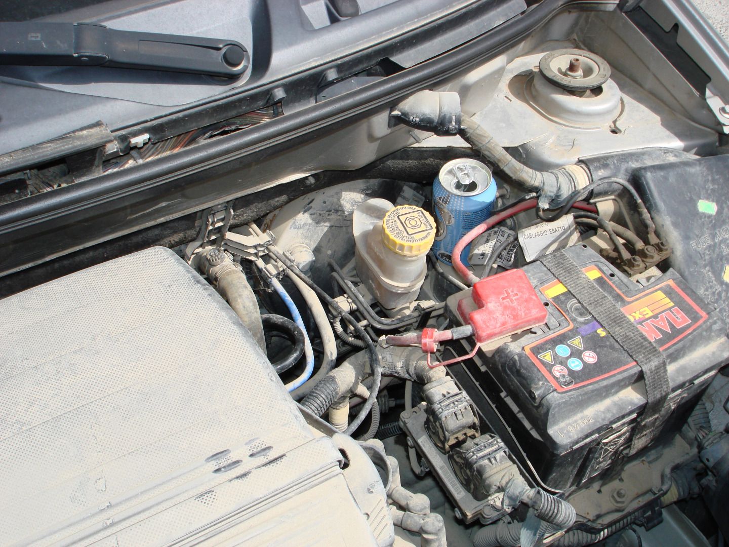 Get Rid of a Pesky Cat From Your Car's Engine Compartment : 4 Steps ...