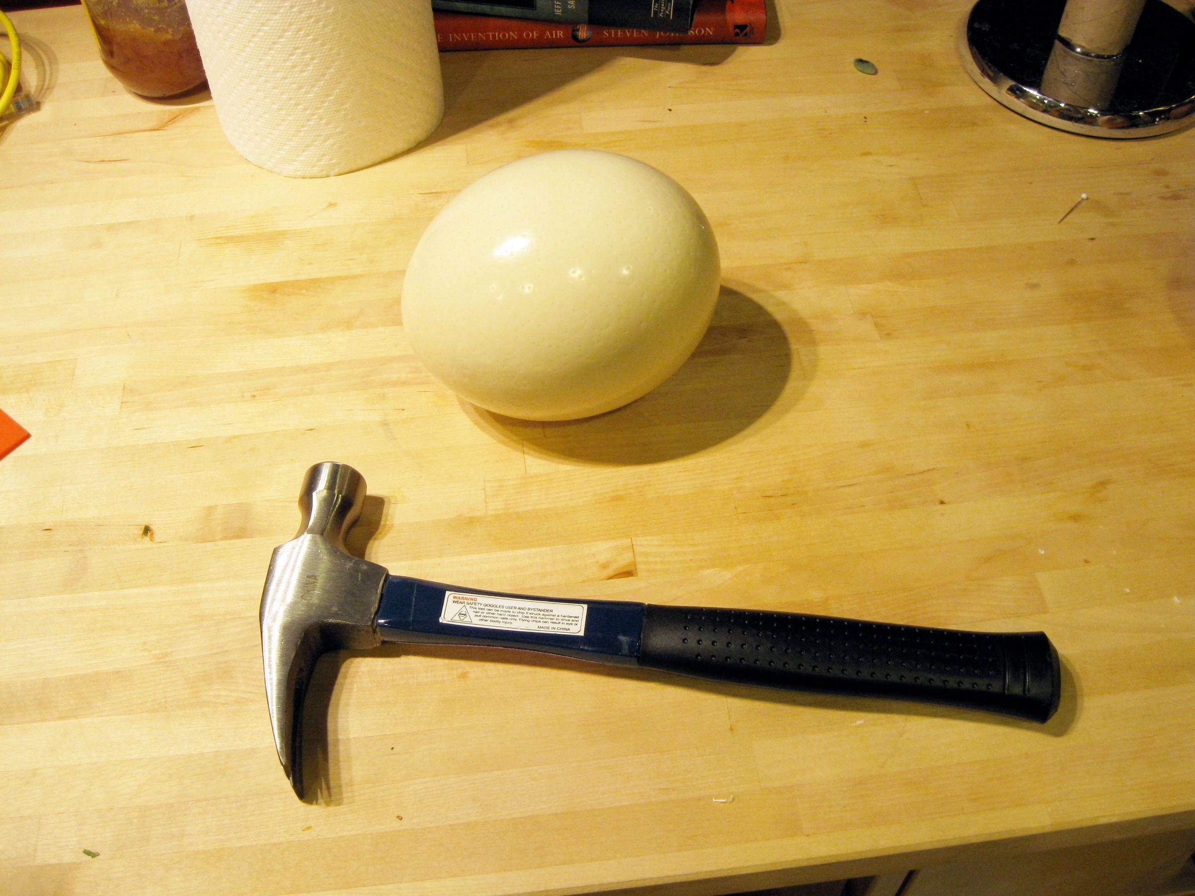 Deviled Ostrich Egg (with Pictures) - Instructables