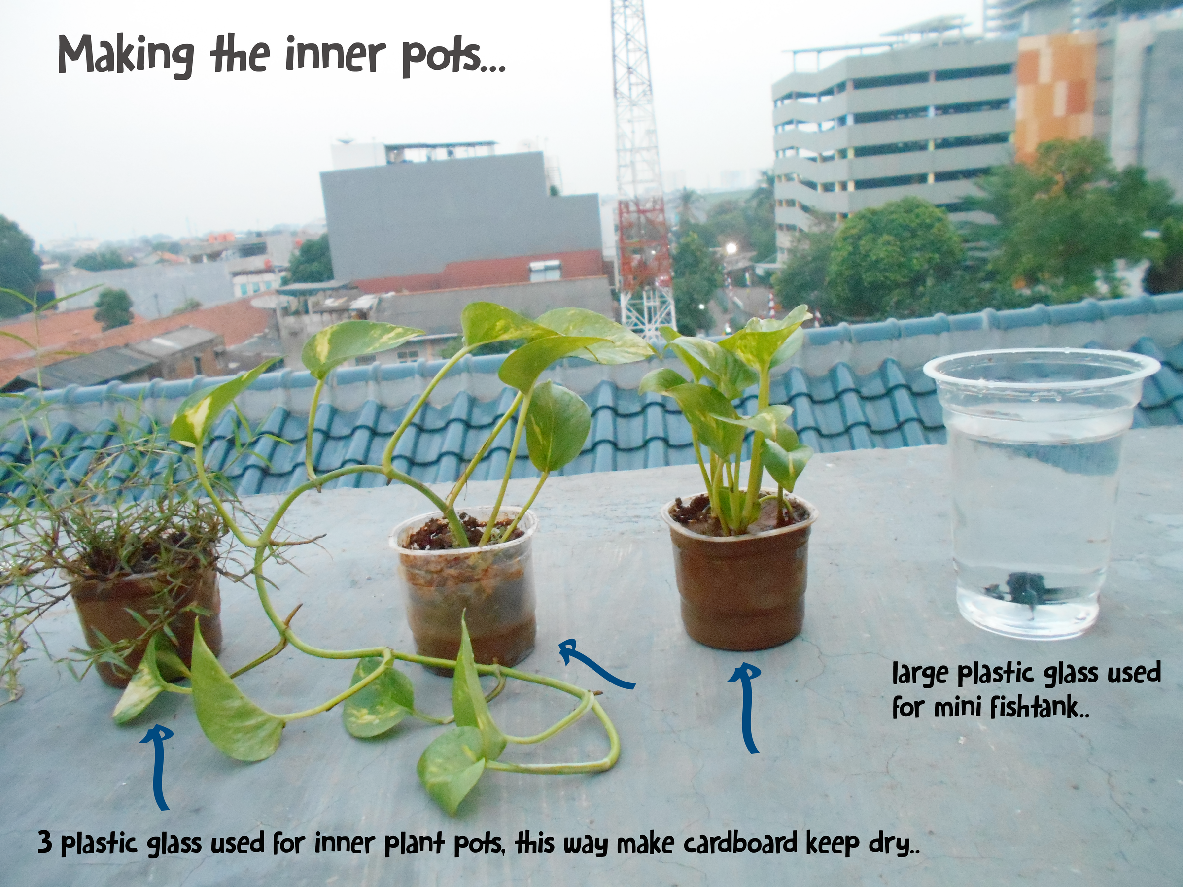 Plant Pots Cardboard With Light : 10 Steps (with Pictures) - Instructables