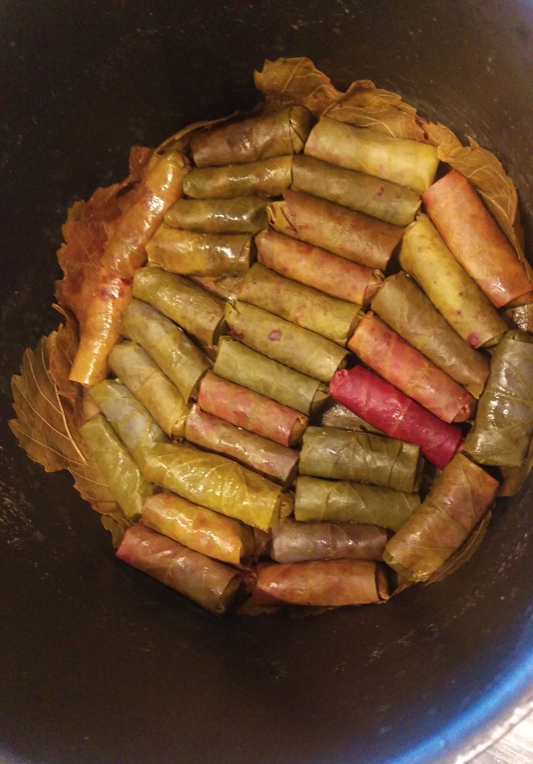 Stuffed Grapeleaves : 3 Steps (with Pictures) - Instructables