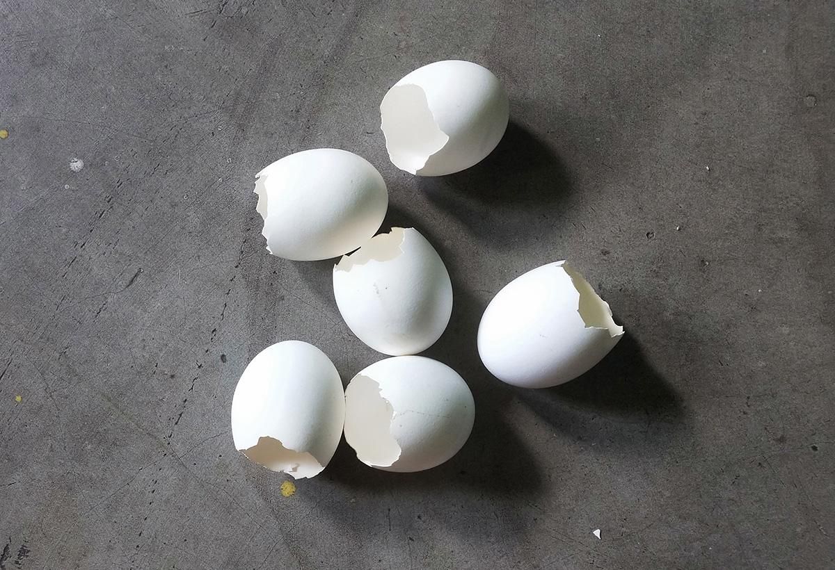 Egg Shell Planter | Gardening : 5 Steps (with Pictures) - Instructables