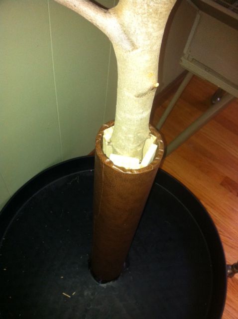 Parrot Play Gym on a Budget : 7 Steps - Instructables