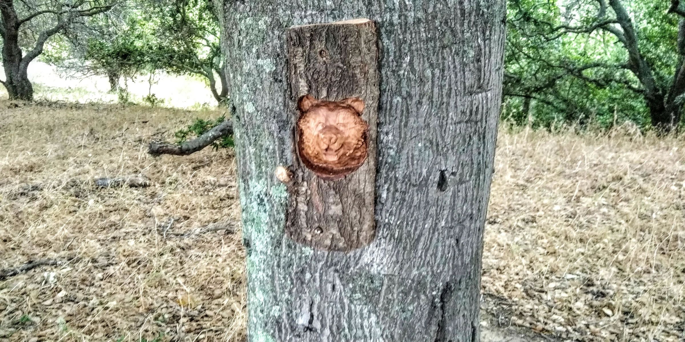 CNC Log Carving : 5 Steps (with Pictures) - Instructables