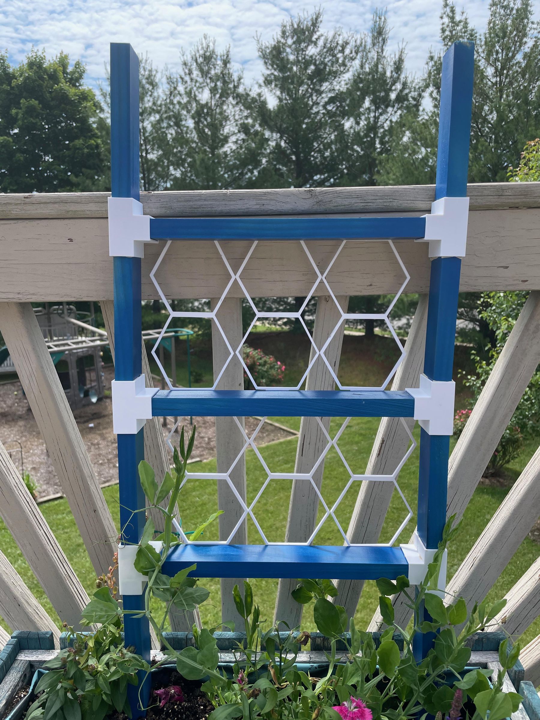 3D Growing Trellis : 9 Steps (with Pictures) - Instructables