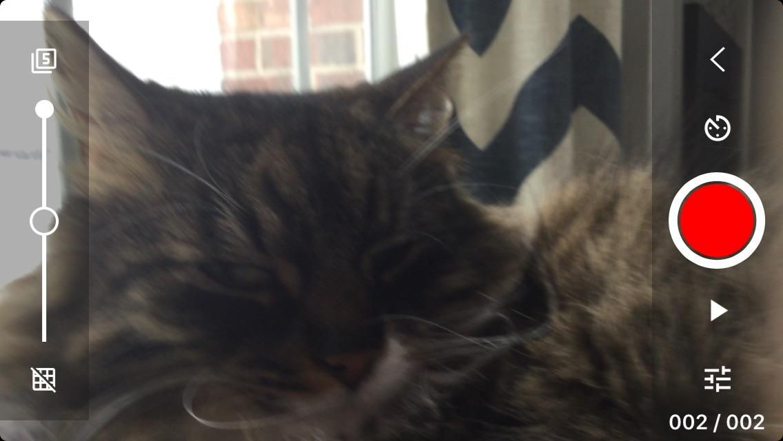 How to Make a Stop Motion Video That Even Your Cats Will Love ...