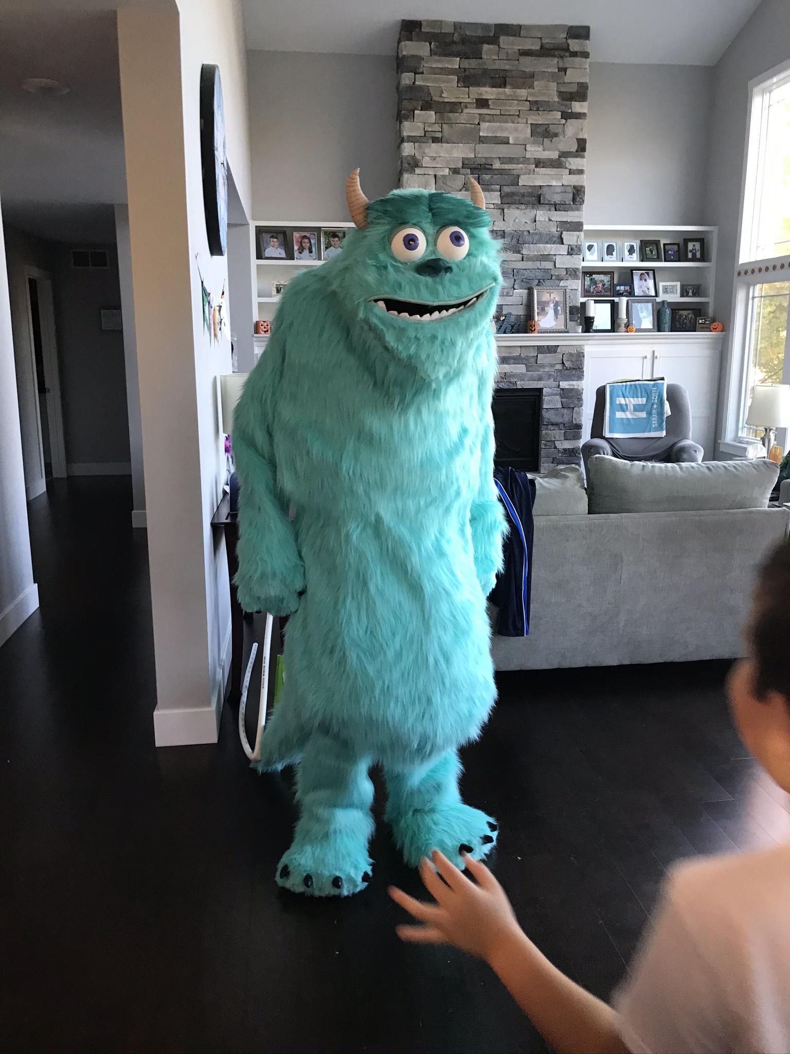 Sulley (Trademark Disney) Monster Homemade Halloween Costume : 11 Steps ...