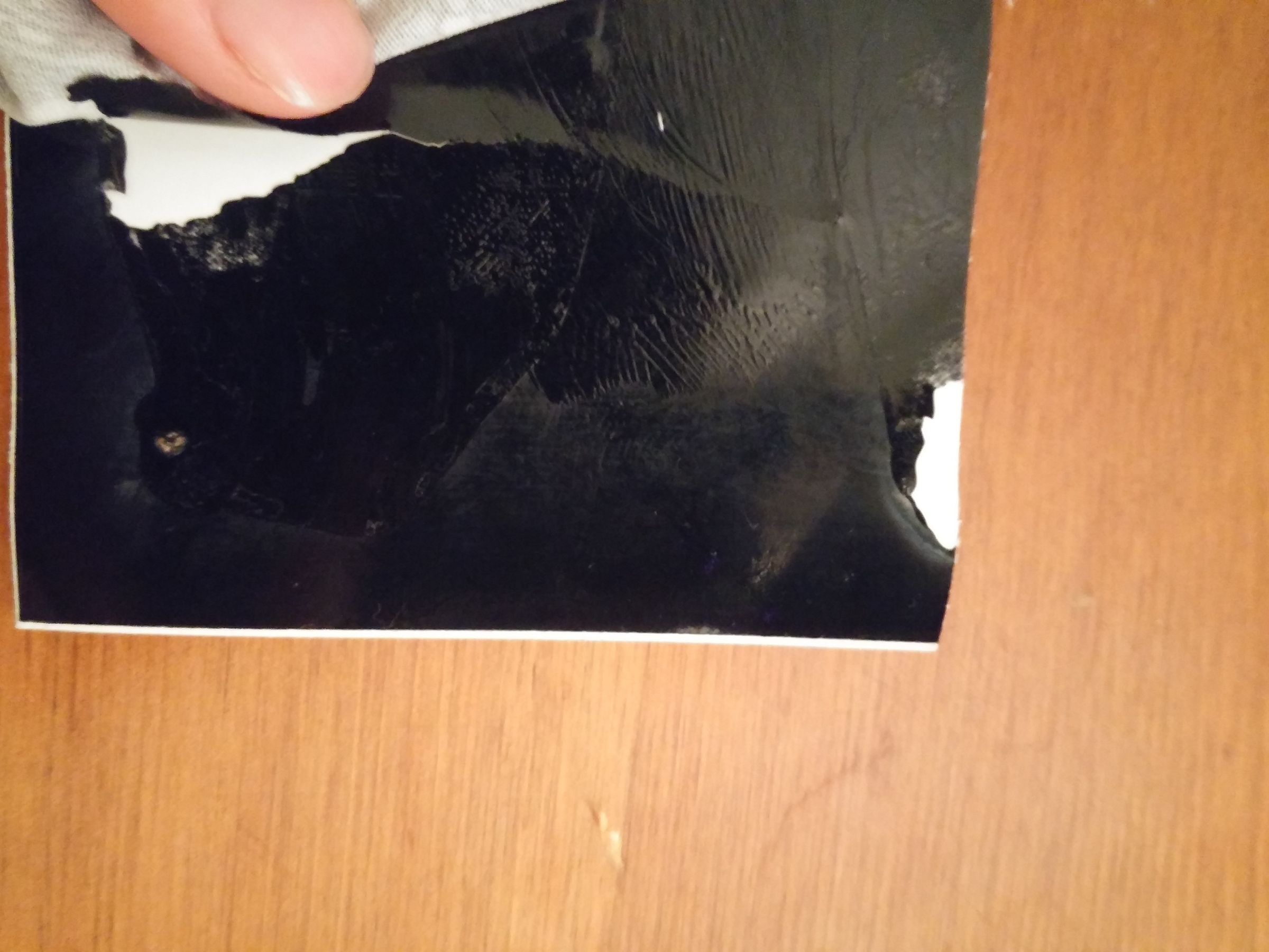 Custom Fabric Camera Reskin : 5 Steps (with Pictures) - Instructables