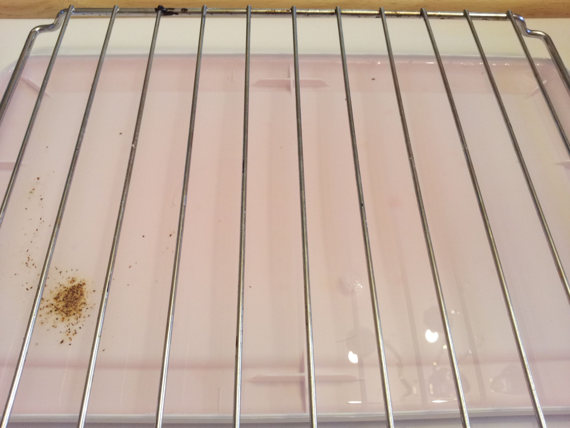 Catch 50 Fleas in One Night : 5 Steps (with Pictures) - Instructables