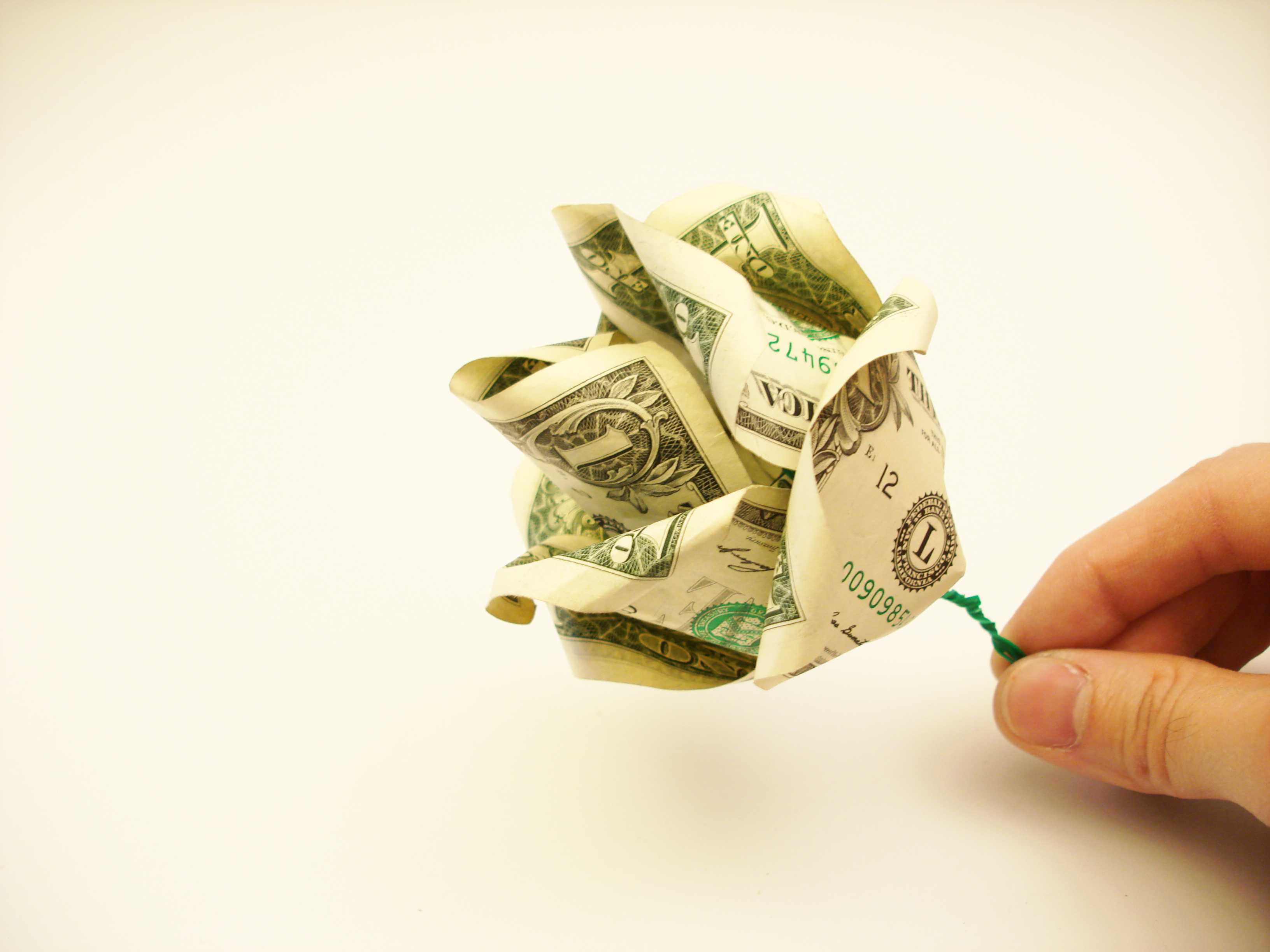 Dollar Bill Flower Bouquet : 7 Steps (with Pictures) - Instructables