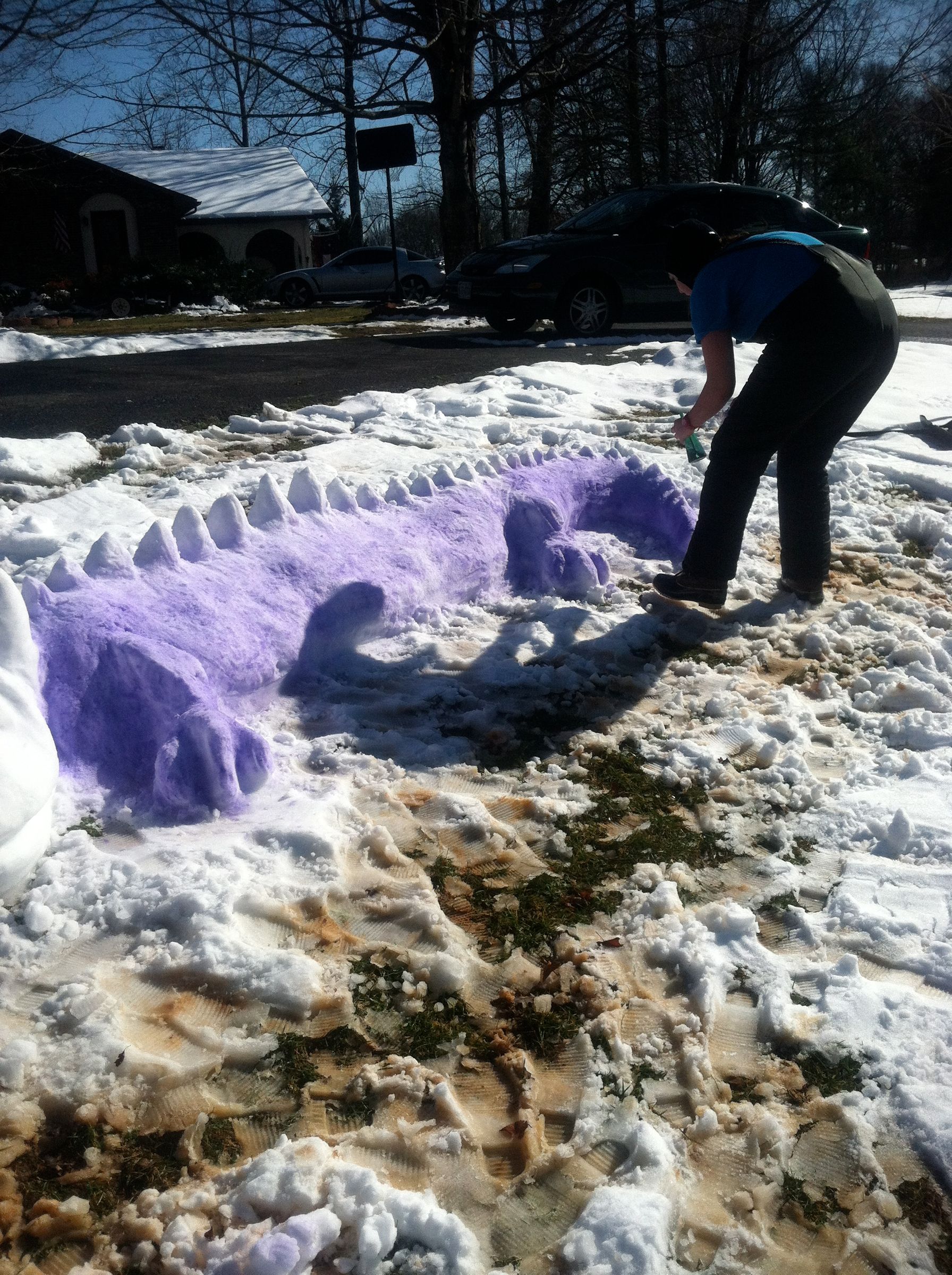 How to Create a Colorful Snow Dragon : 3 Steps - Instructables