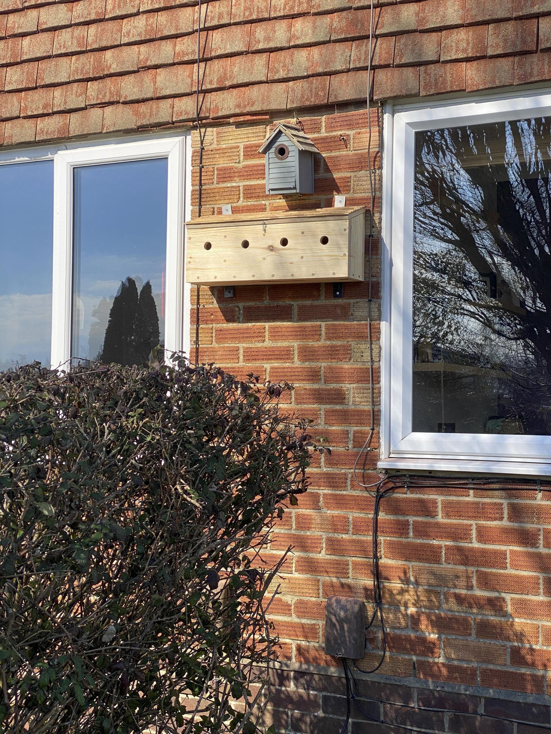 🐦 House Sparrow 🐦 Bird Box Terrace 🐦 : 11 Steps (with Pictures ...