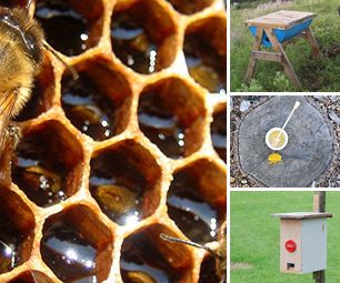 Bee and Beekeeping Projects - Instructables
