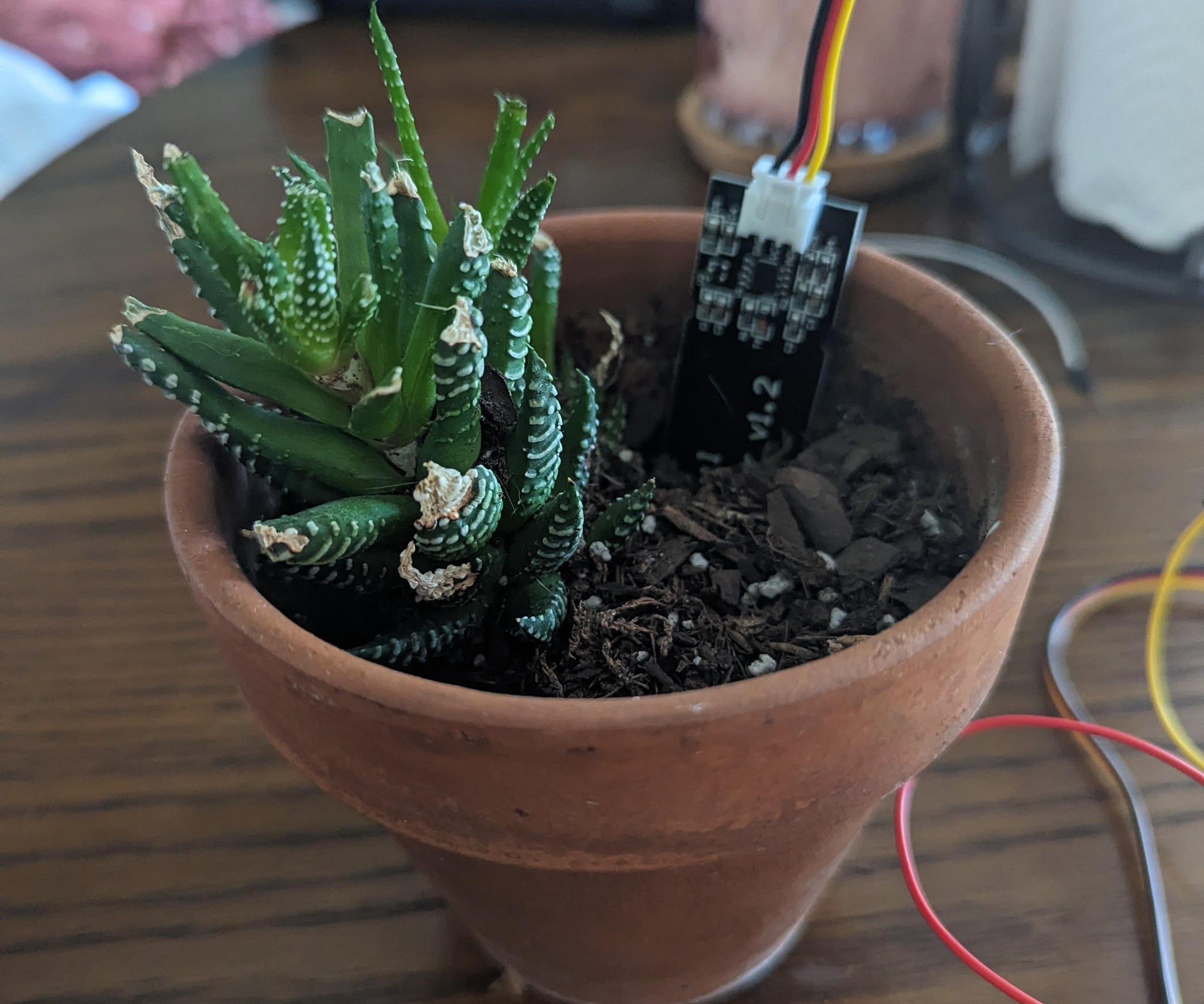 Display Plant Moisture Using a ESP32 and a LCD : 6 Steps - Instructables