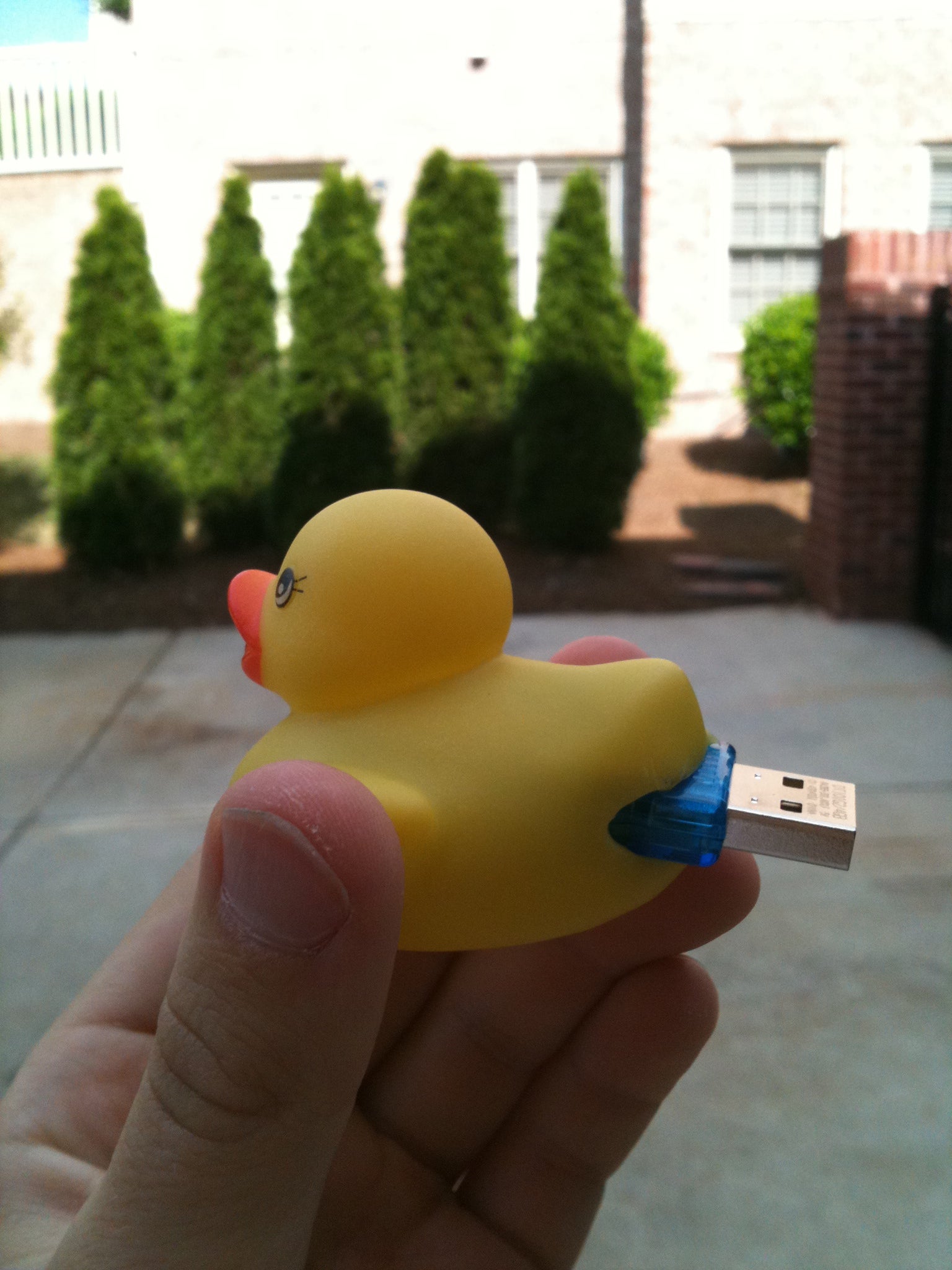 USB Rubber Duckie! : 6 Steps - Instructables