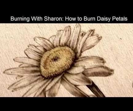 Pyrography: How to Woodburn and Color a Daisy - Instructables