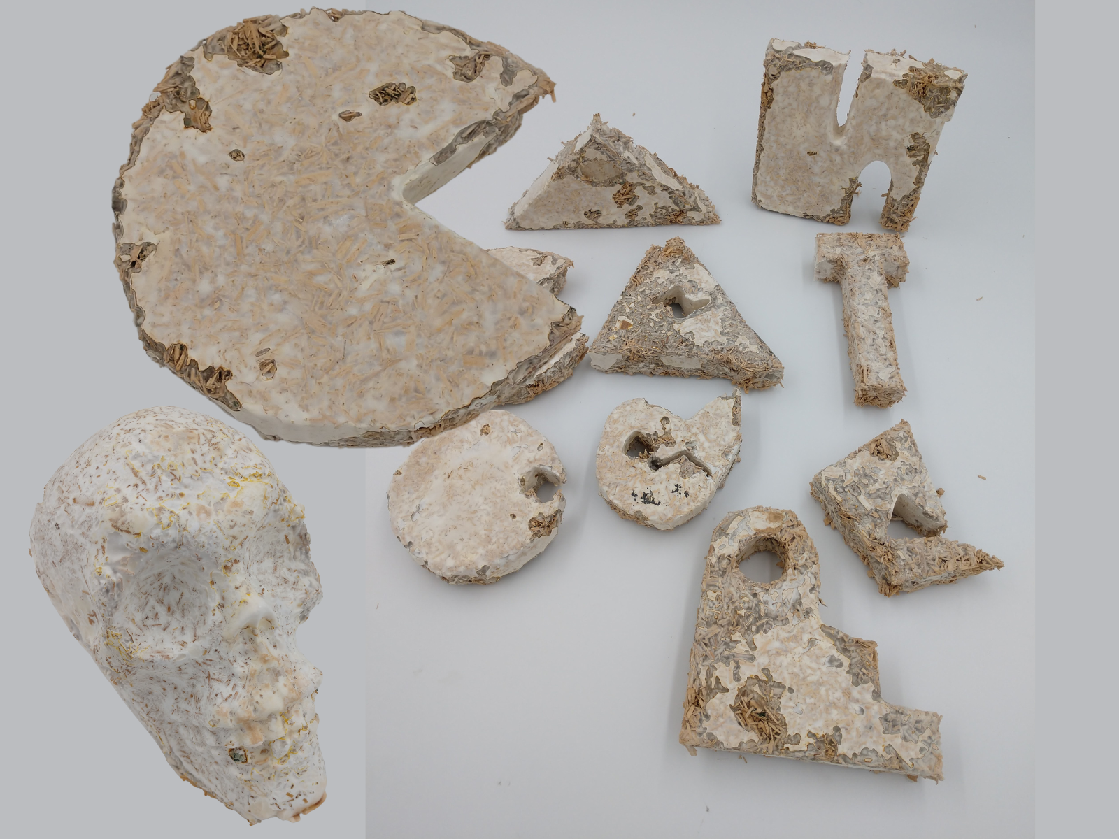 Growing Mycelium in the Classroom and Making Stuff With It ...