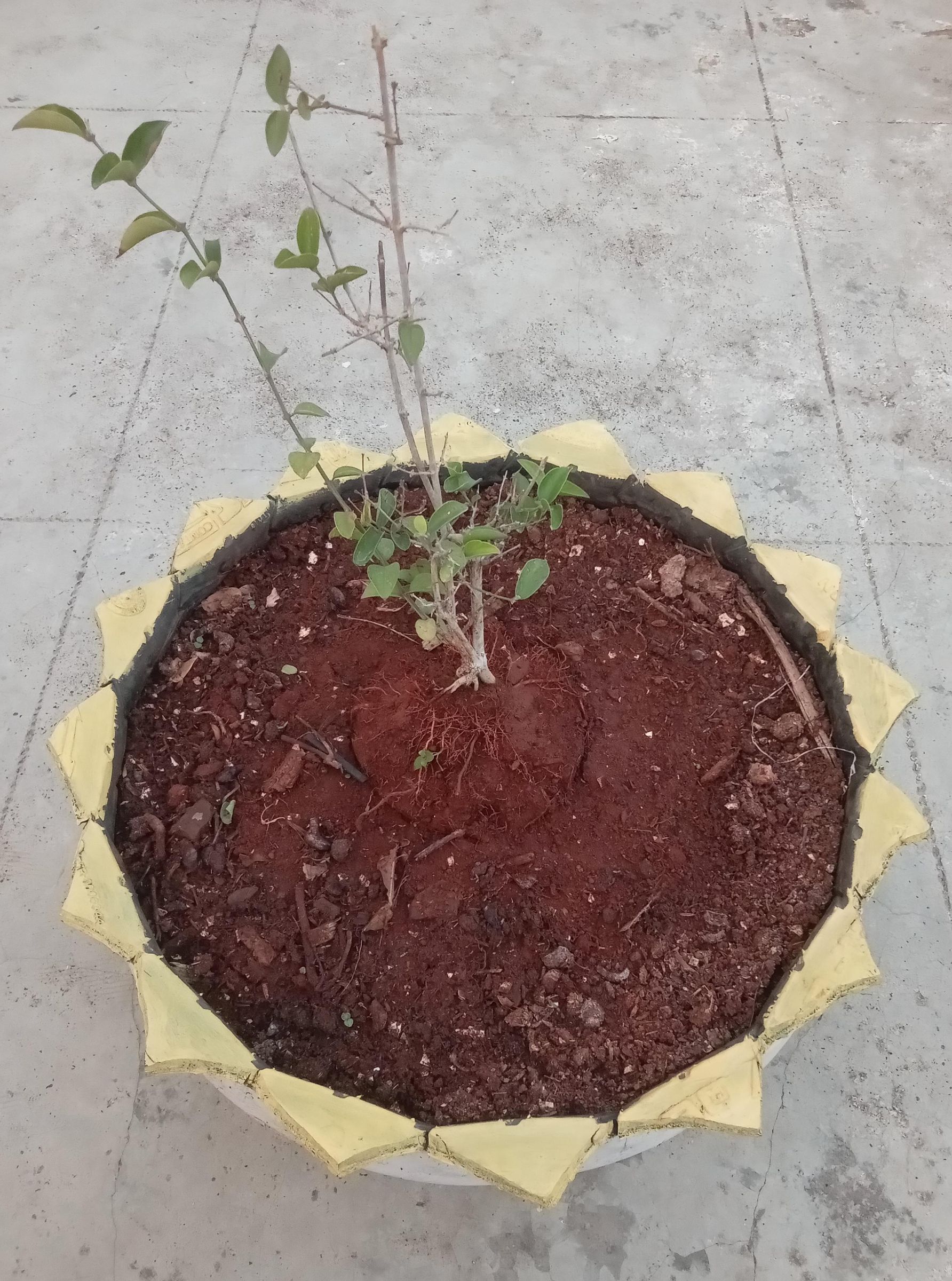Recycling Tyre & Converting It Into a Plant Pot : 17 Steps (with ...
