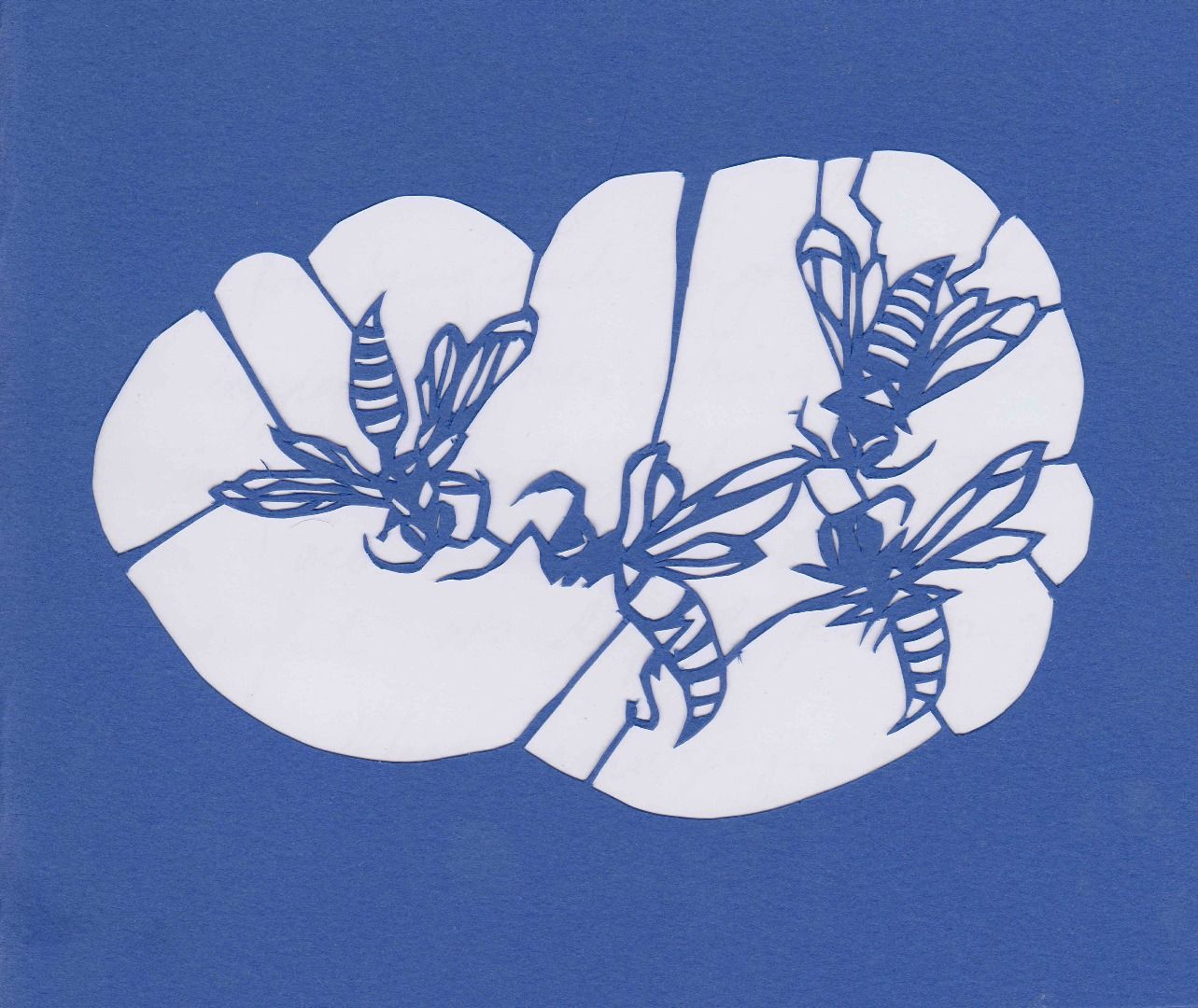 A Beginner's Guide to Paper Cutting : 9 Steps (with Pictures ...