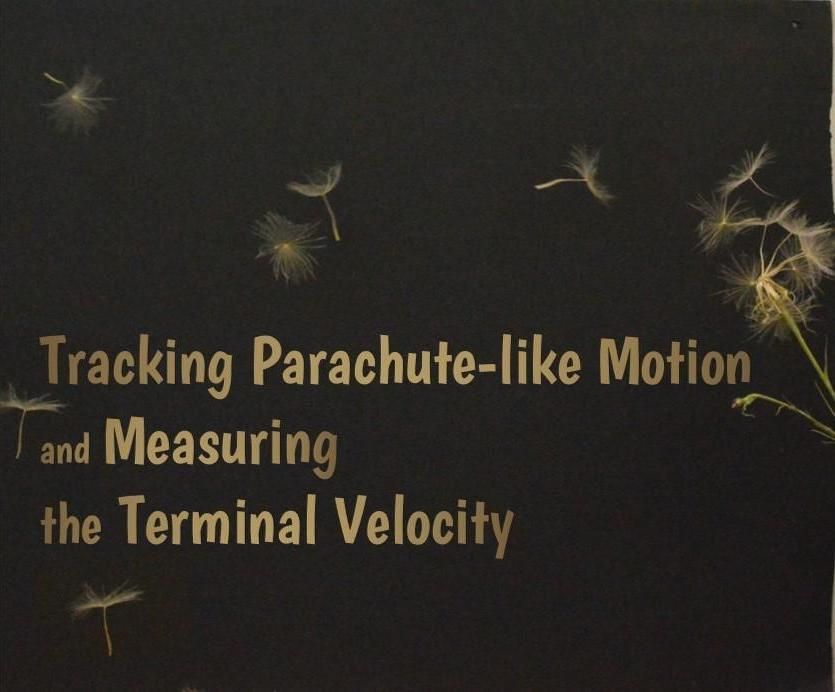 Tracking Parachute-like Motion and Measuring the Terminal Velocity : 7 ...