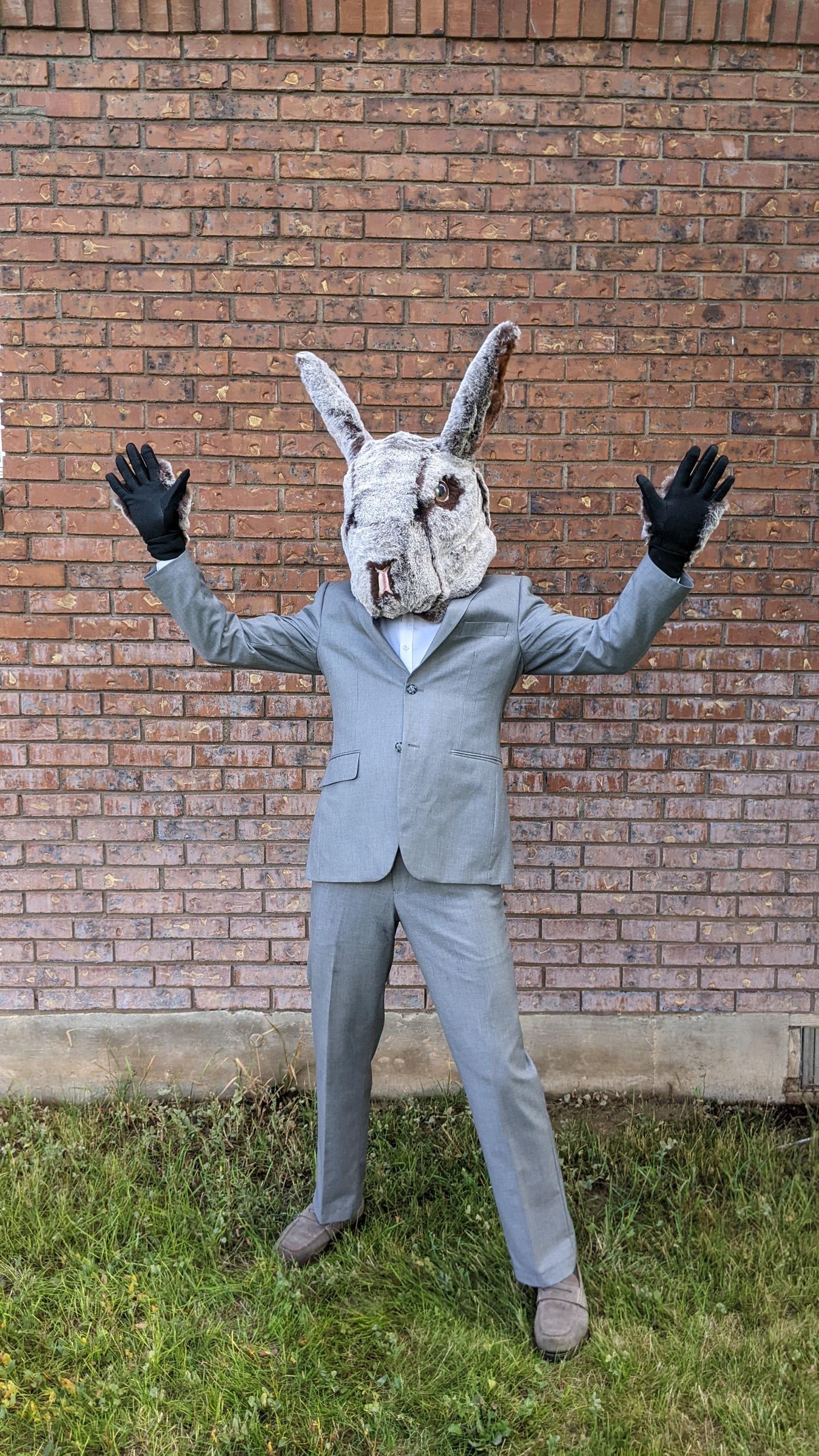 Rabbit Head Costume
