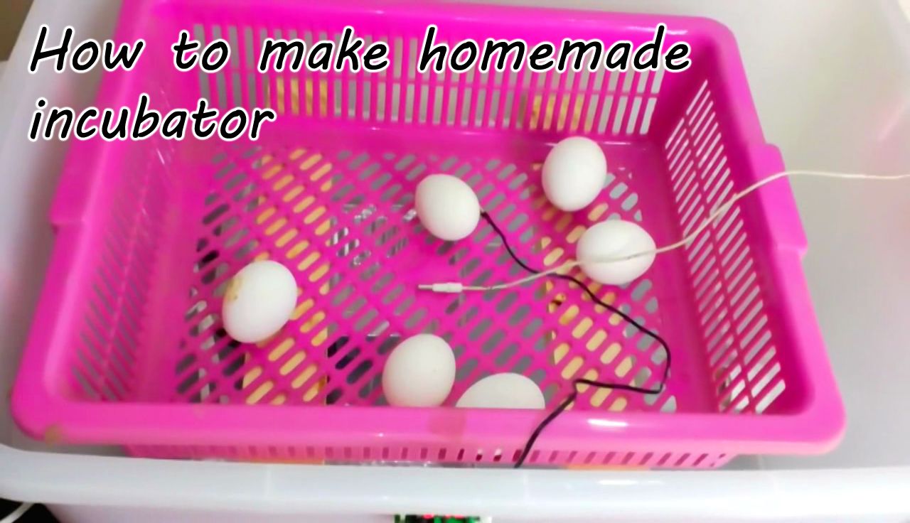 How to Make Homemade Incubator | Egg Hatcher at Home : 5 Steps (with ...