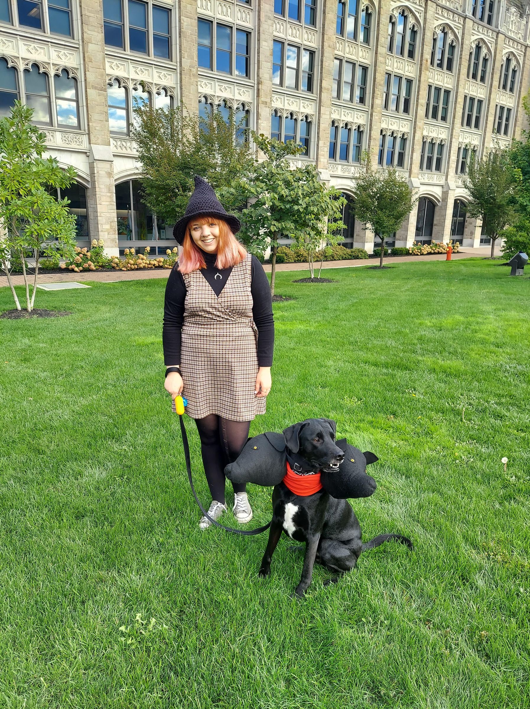 Cerberus Dog Costume : 8 Steps (with Pictures) - Instructables