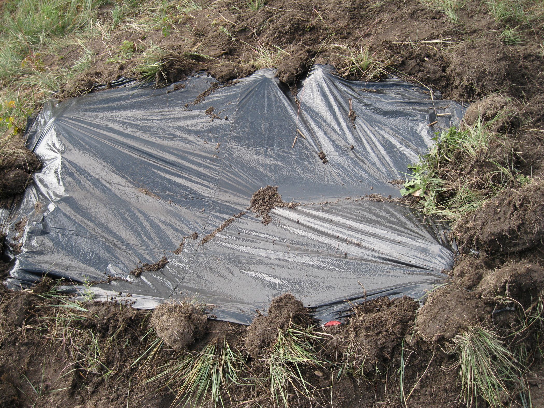 Make a Solar Still to Survive : 7 Steps (with Pictures) - Instructables