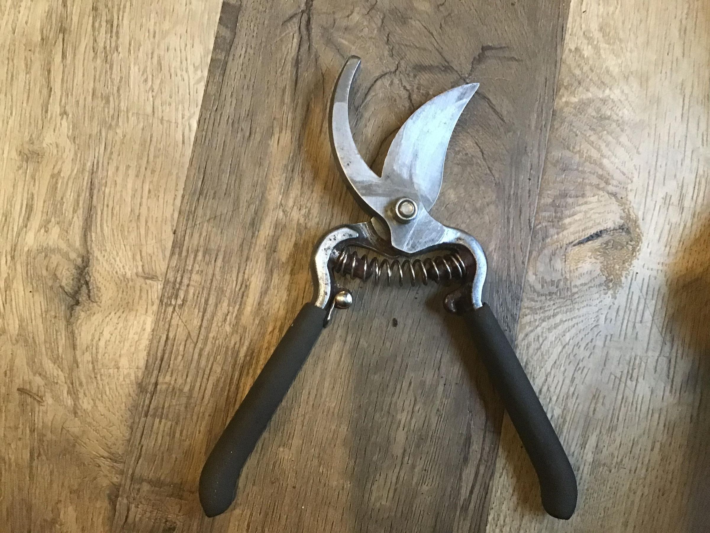 How to Remove Rust From Garden Tools!!! : 5 Steps - Instructables