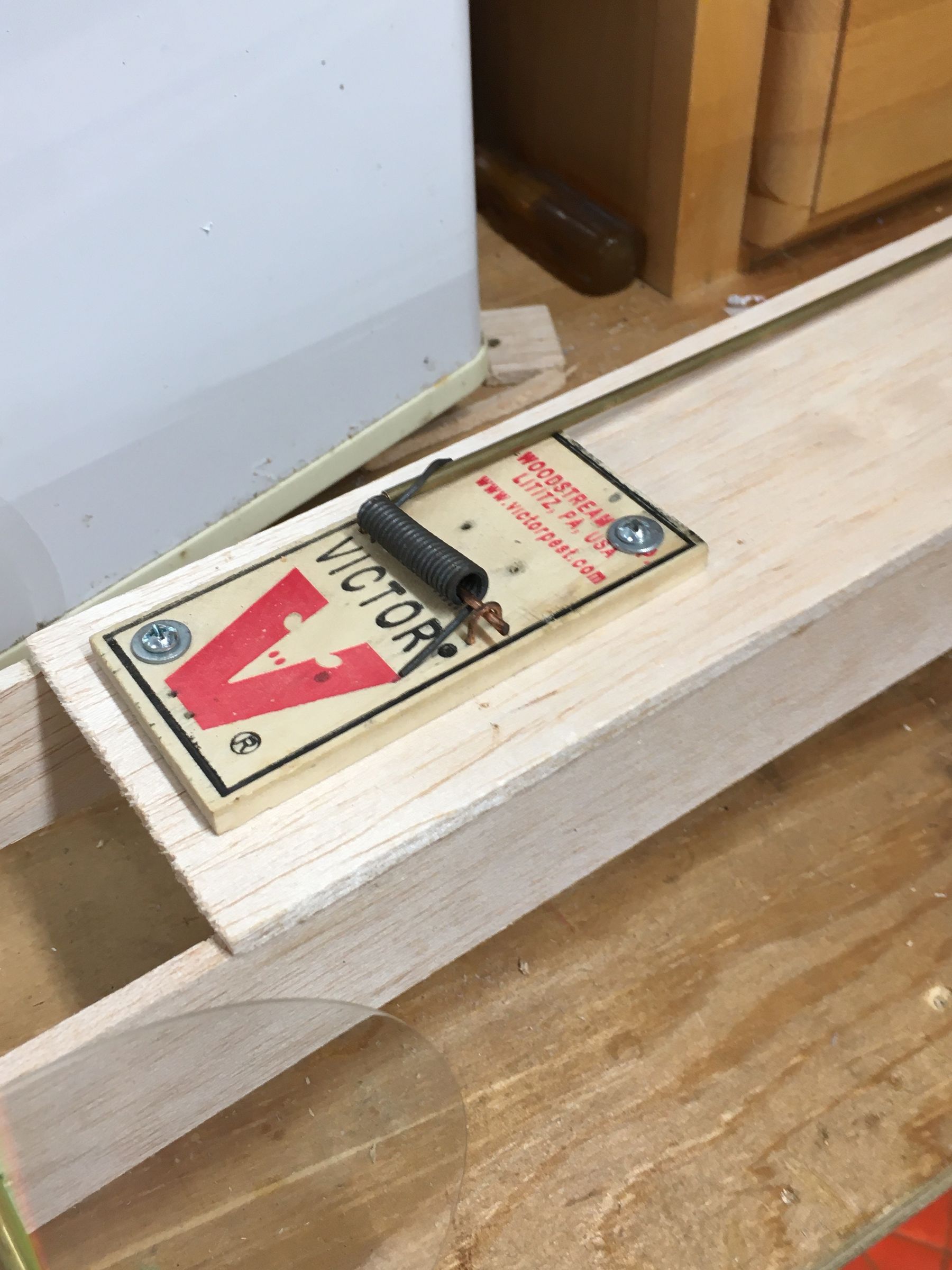 Mouse Trap Car : 7 Steps - Instructables