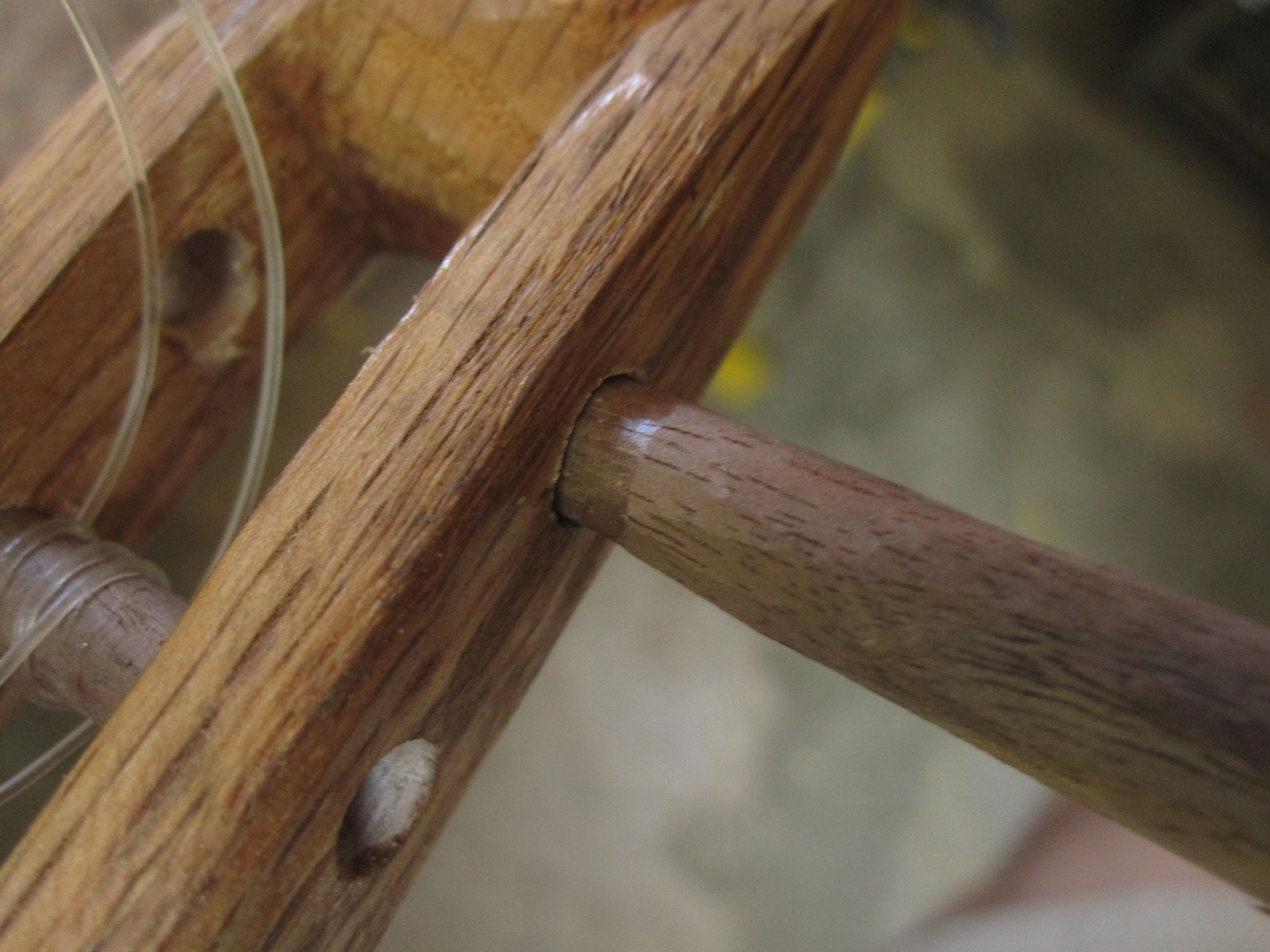 Improvised Folk Fiddle : 9 Steps (with Pictures) - Instructables