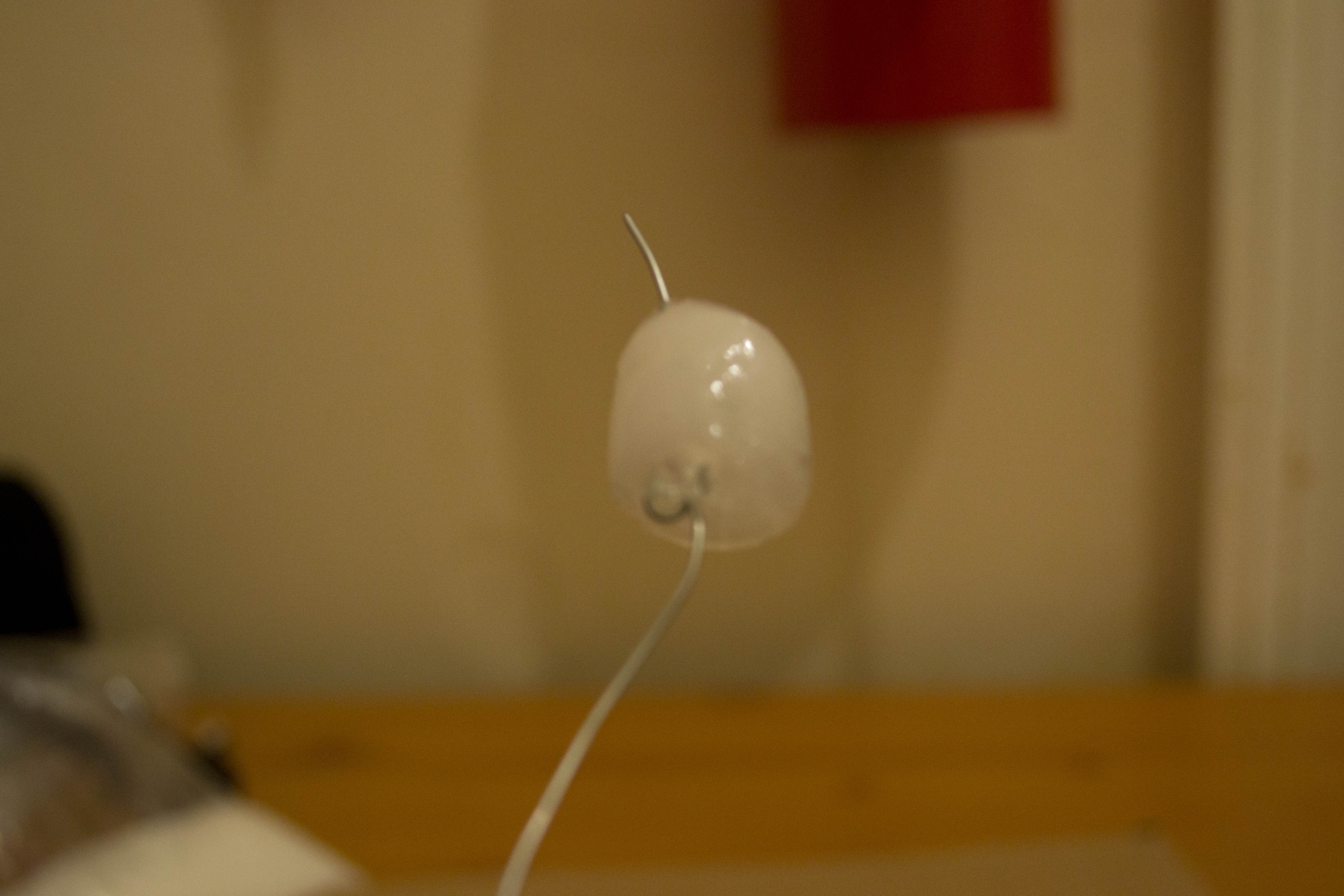 Simple Polymorph Hand : 4 Steps (with Pictures) - Instructables