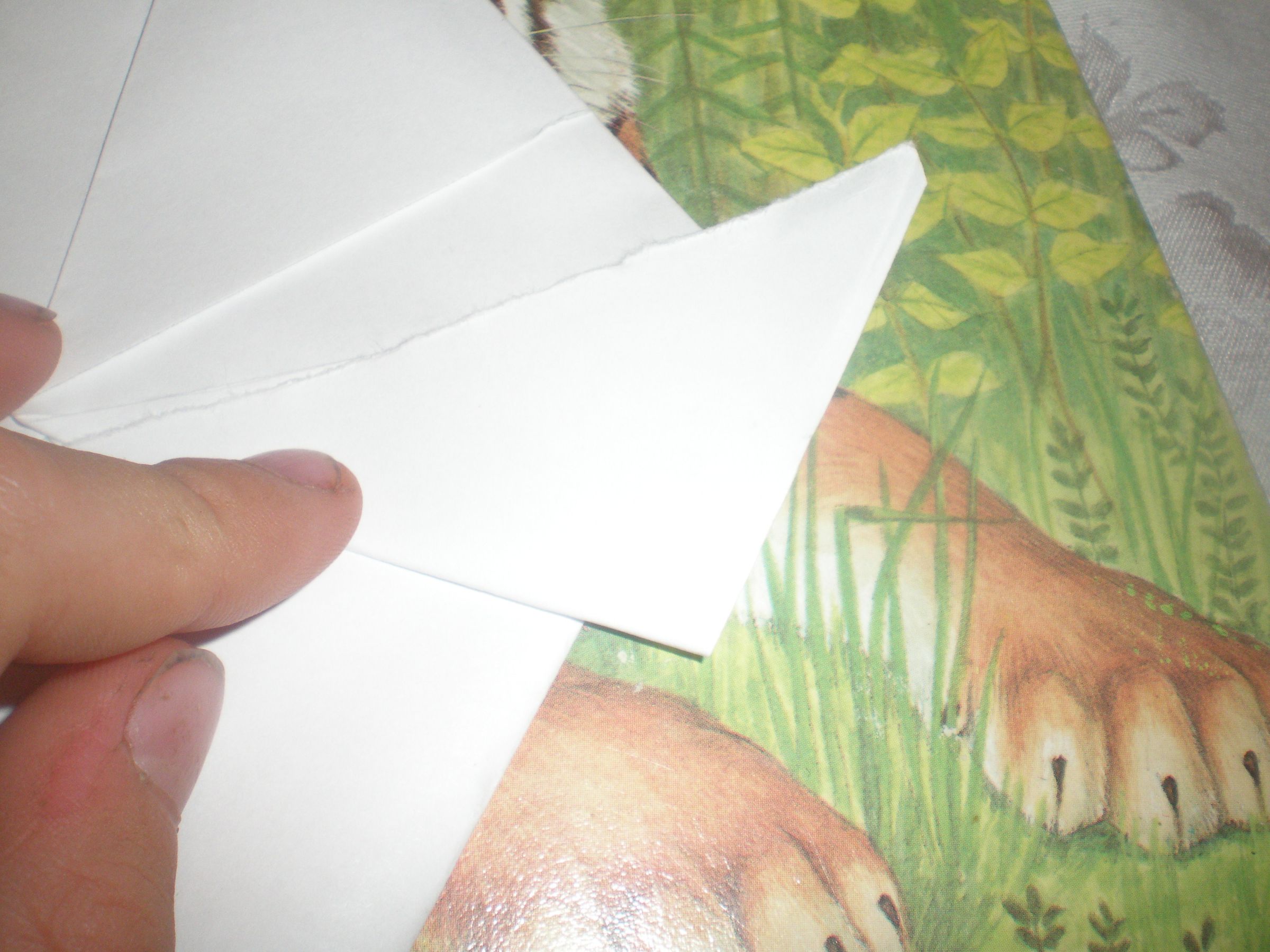 Origami Chicken : 14 Steps - Instructables