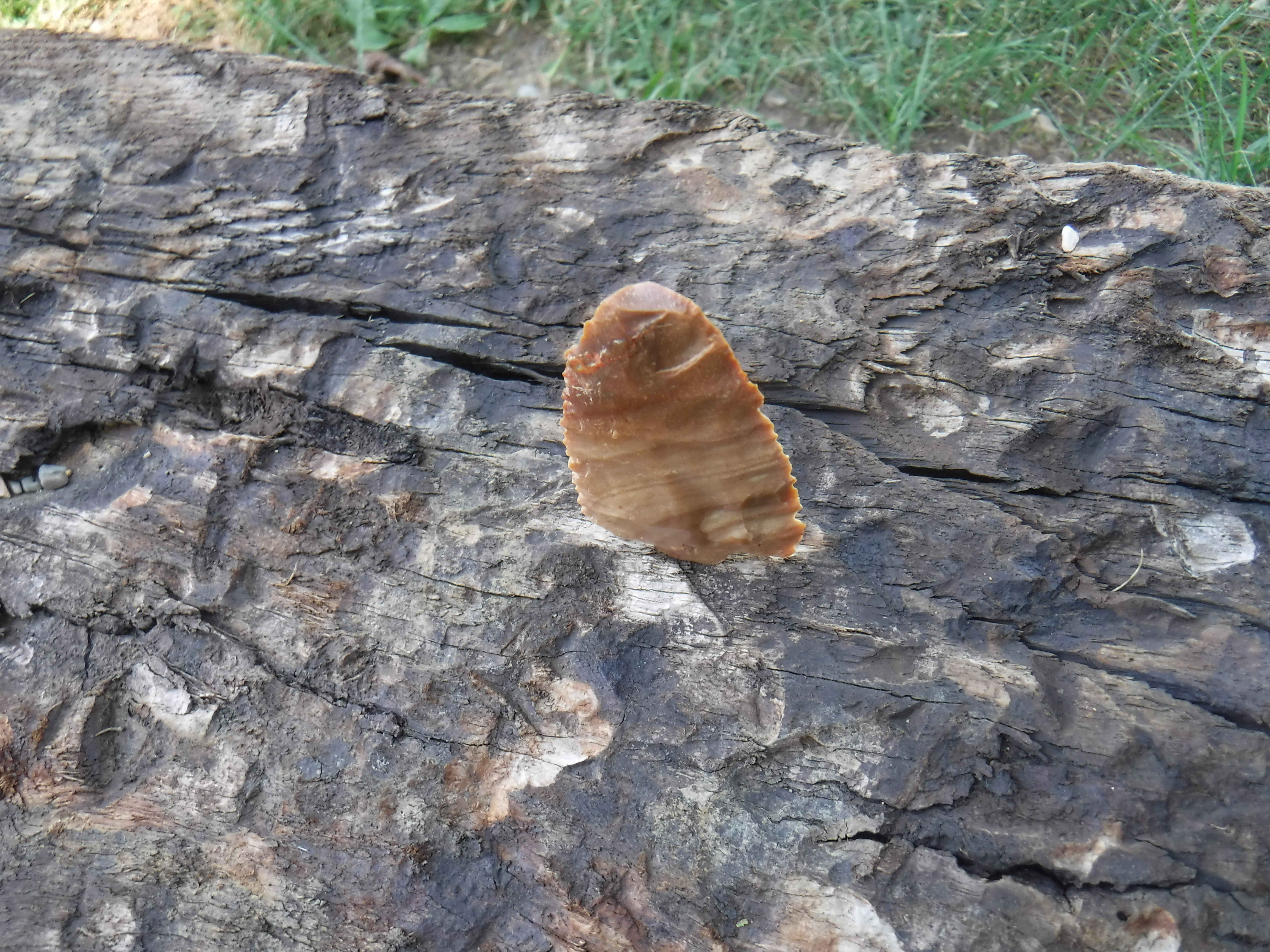 Make Your Own 3D Models for Free! : 7 Steps - Instructables