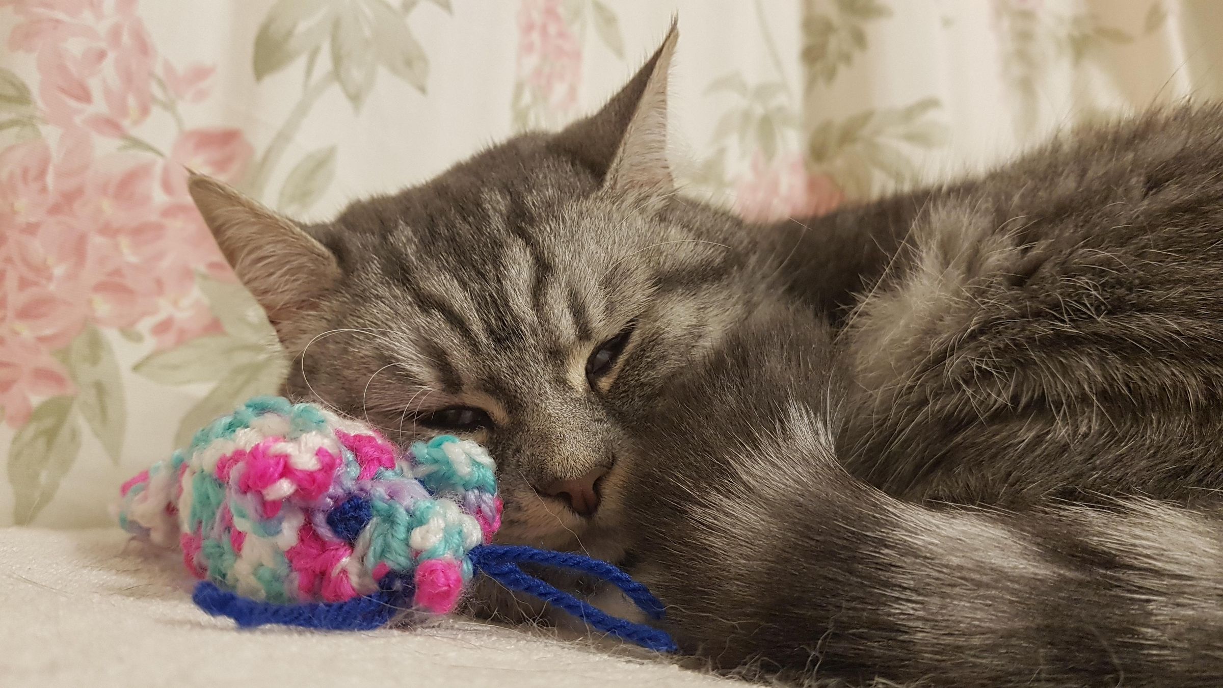 Crochet Warming Cat Toy : 7 Steps (with Pictures) - Instructables