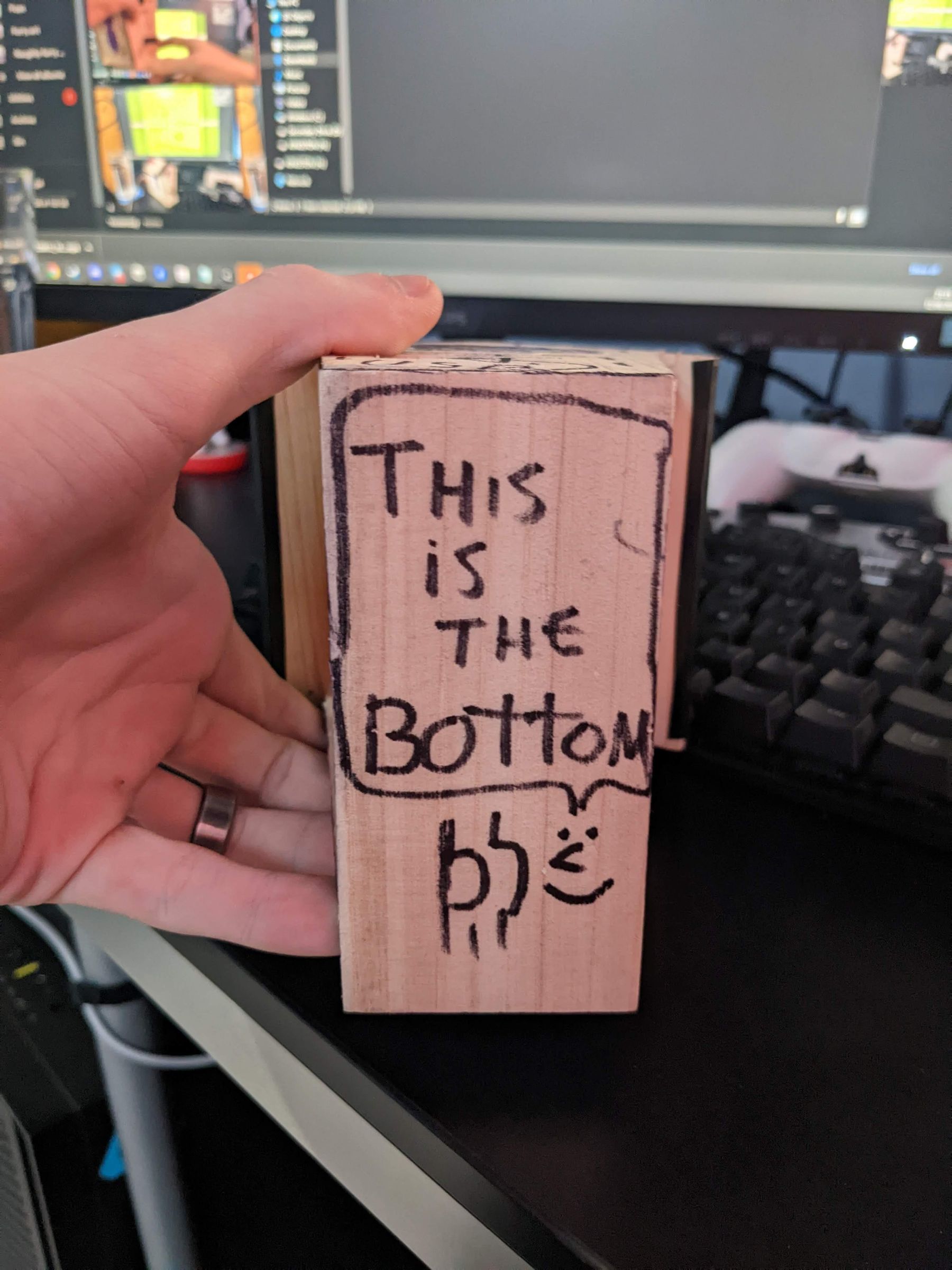 The "Rare Vogel" Birdhouse Controller : 11 Steps (with Pictures ...