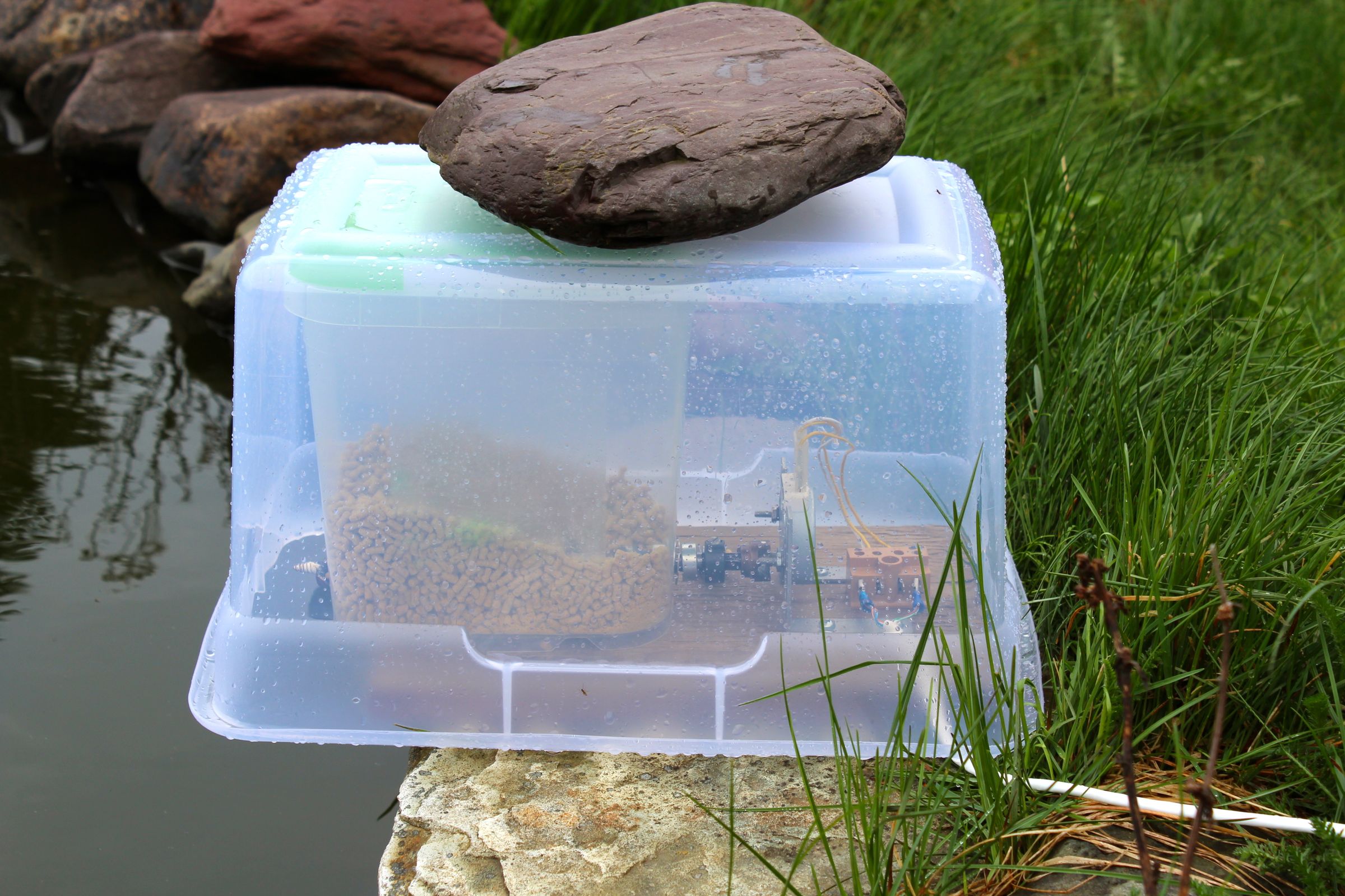 Automatic Fish Feeder Using Arduino at Tamara Hall blog