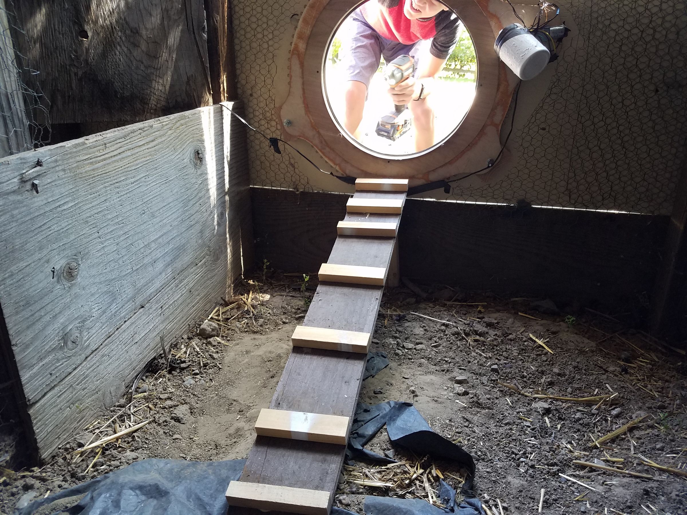 Chicken Ladder : 5 Steps (with Pictures) - Instructables