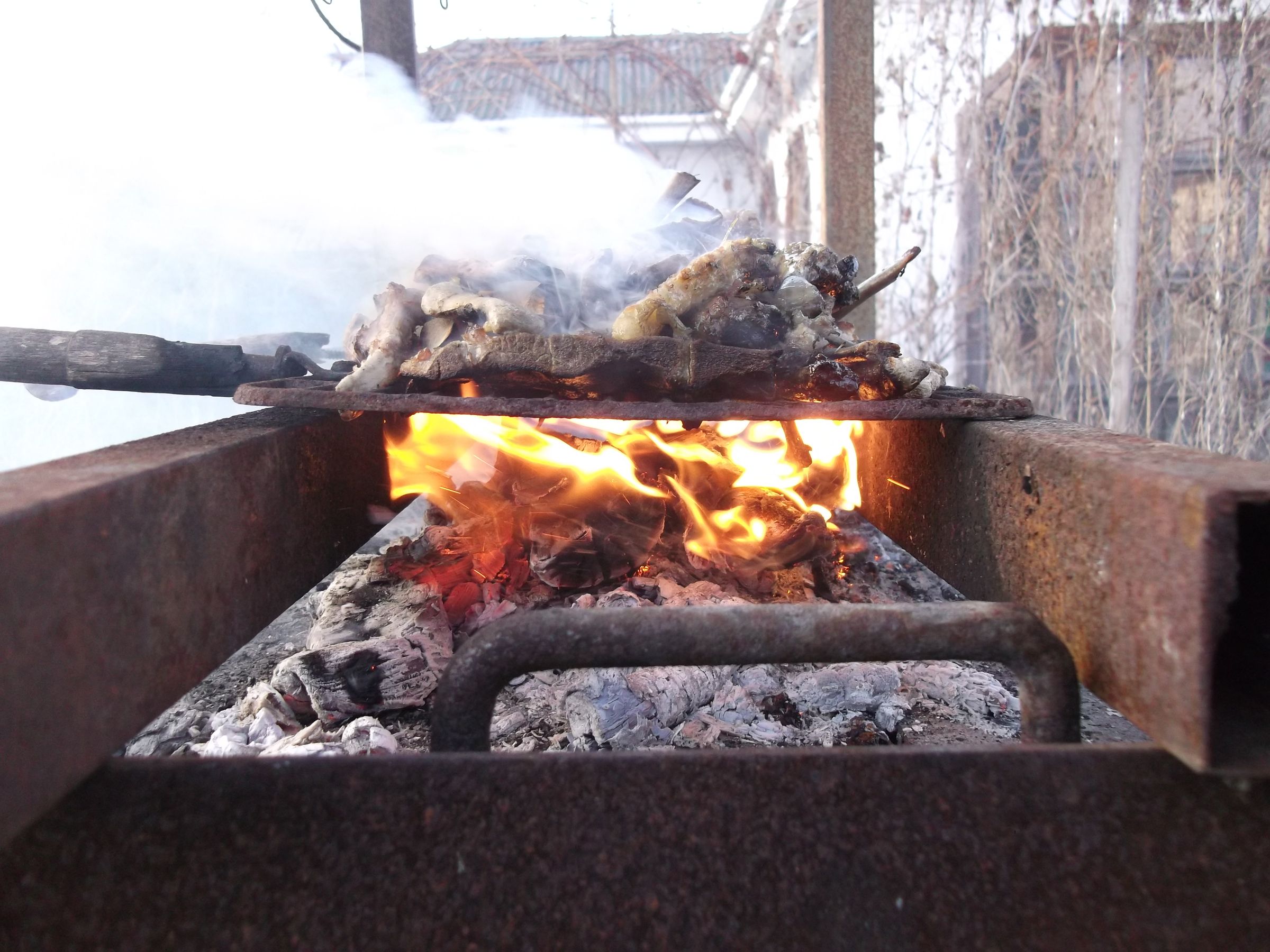 Animal Bones As Fuel and Fertilizer : 6 Steps (with Pictures ...