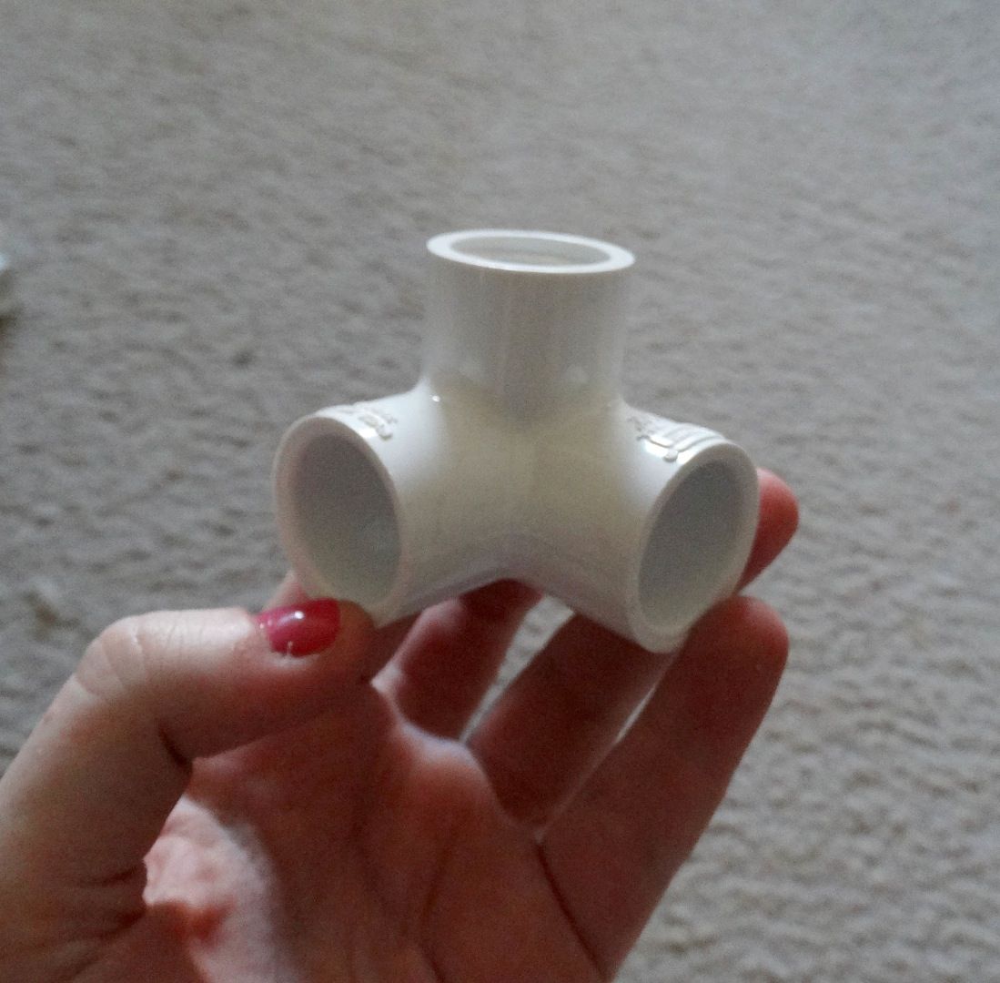 Raising Giant Silk Moths : 15 Steps (with Pictures) - Instructables