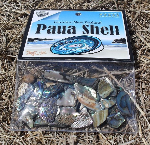 New Zealand Paua Shell Pieces
