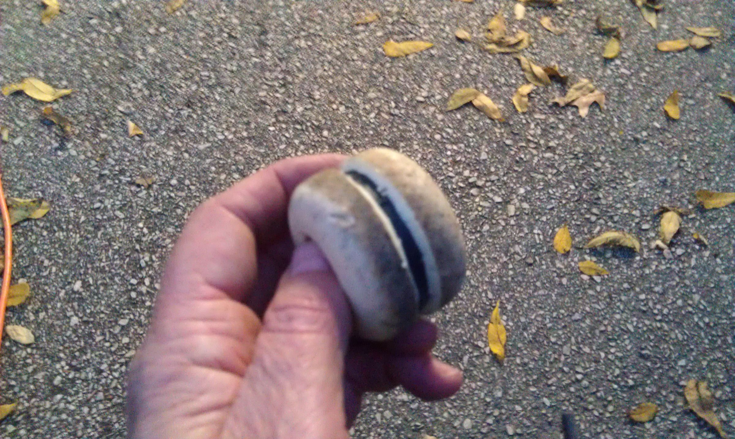 GoPro Cable Cam: Wheeled Camera Suspension System : 7 Steps - Instructables