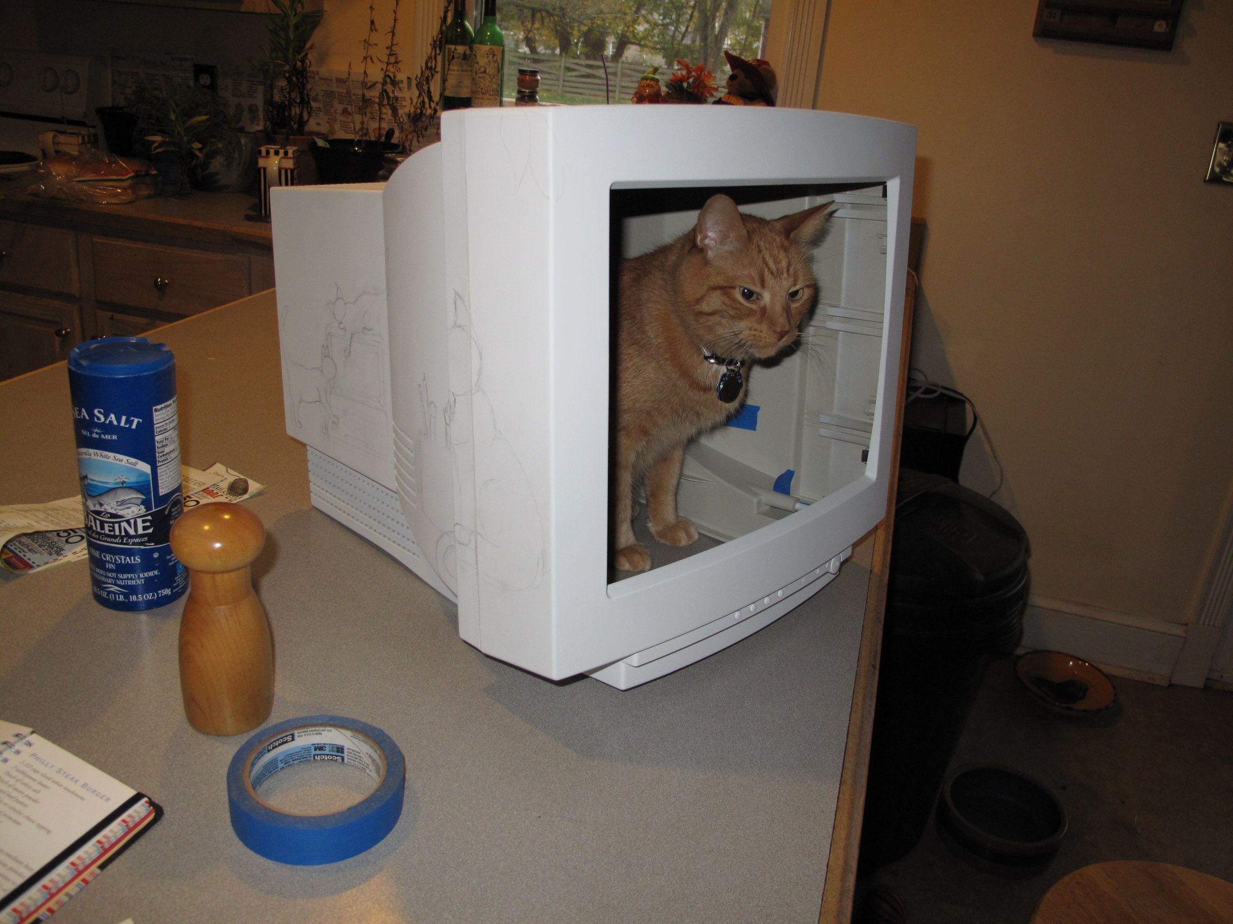 Make a Cat Bed From a Computer Monitor : 13 Steps (with Pictures ...