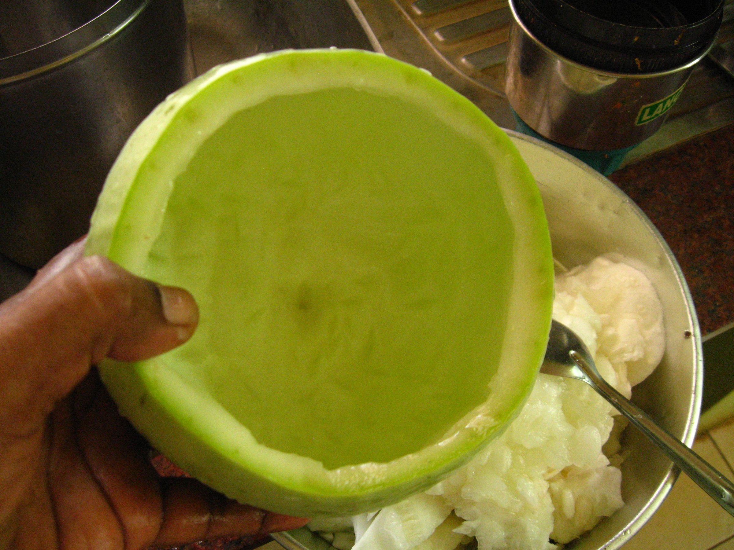 Seed Germination With Bottle Gourd Shell As Planter : 6 Steps (with ...