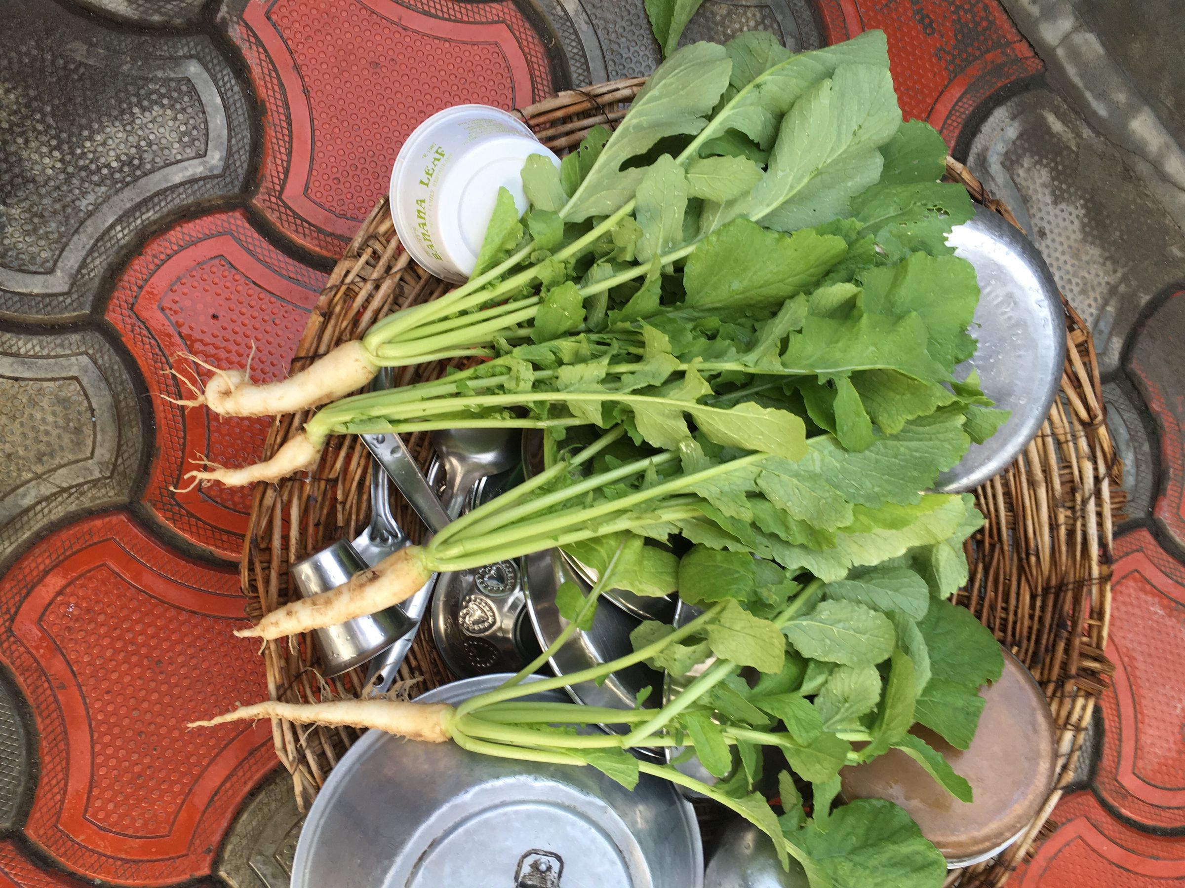 SACKS HOME GARDEN : 10 Steps (with Pictures) - Instructables