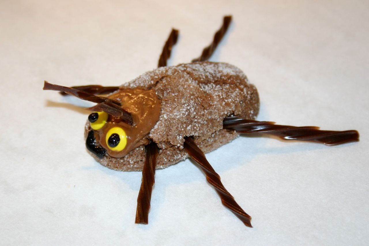 Chocolate Caramel Cockroach Cookie : 12 Steps (with Pictures ...