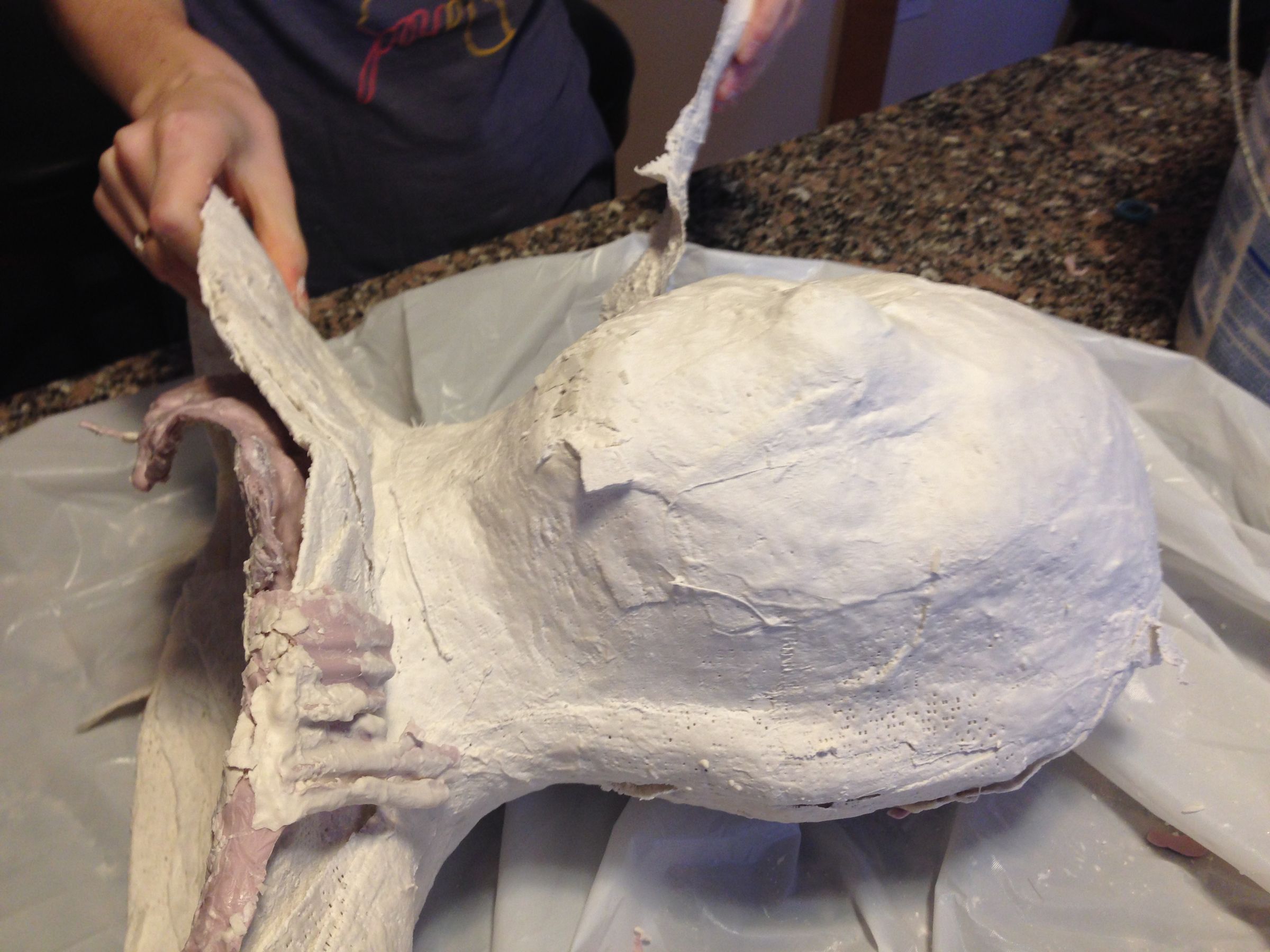 Making a Head Mold : 7 Steps (with Pictures) - Instructables
