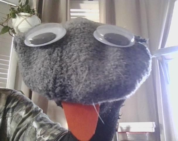 How to Make Sock Puppets : 5 Steps - Instructables